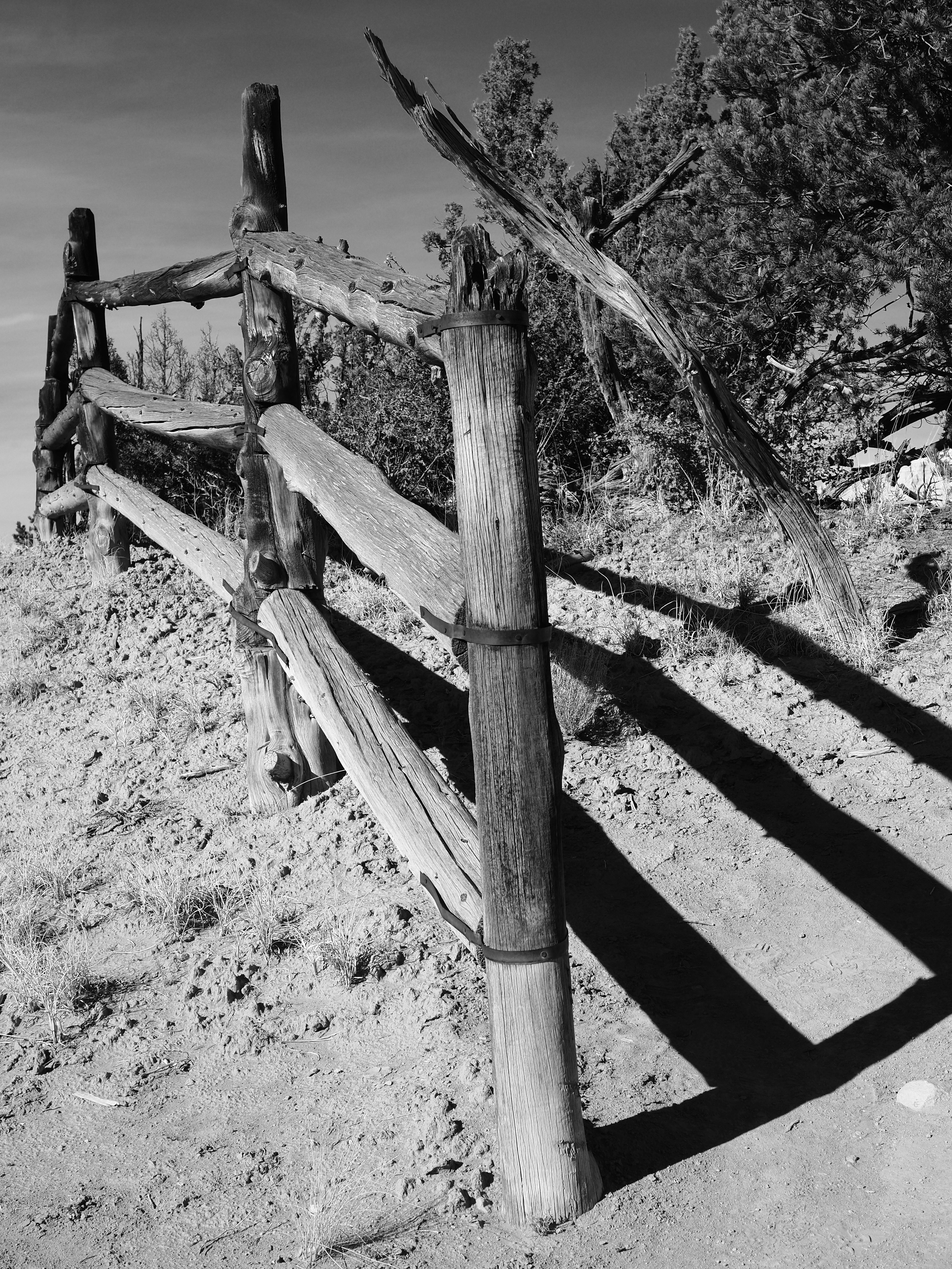 Weathered Fence and Shadows: A Portrait in Sunlit Timber