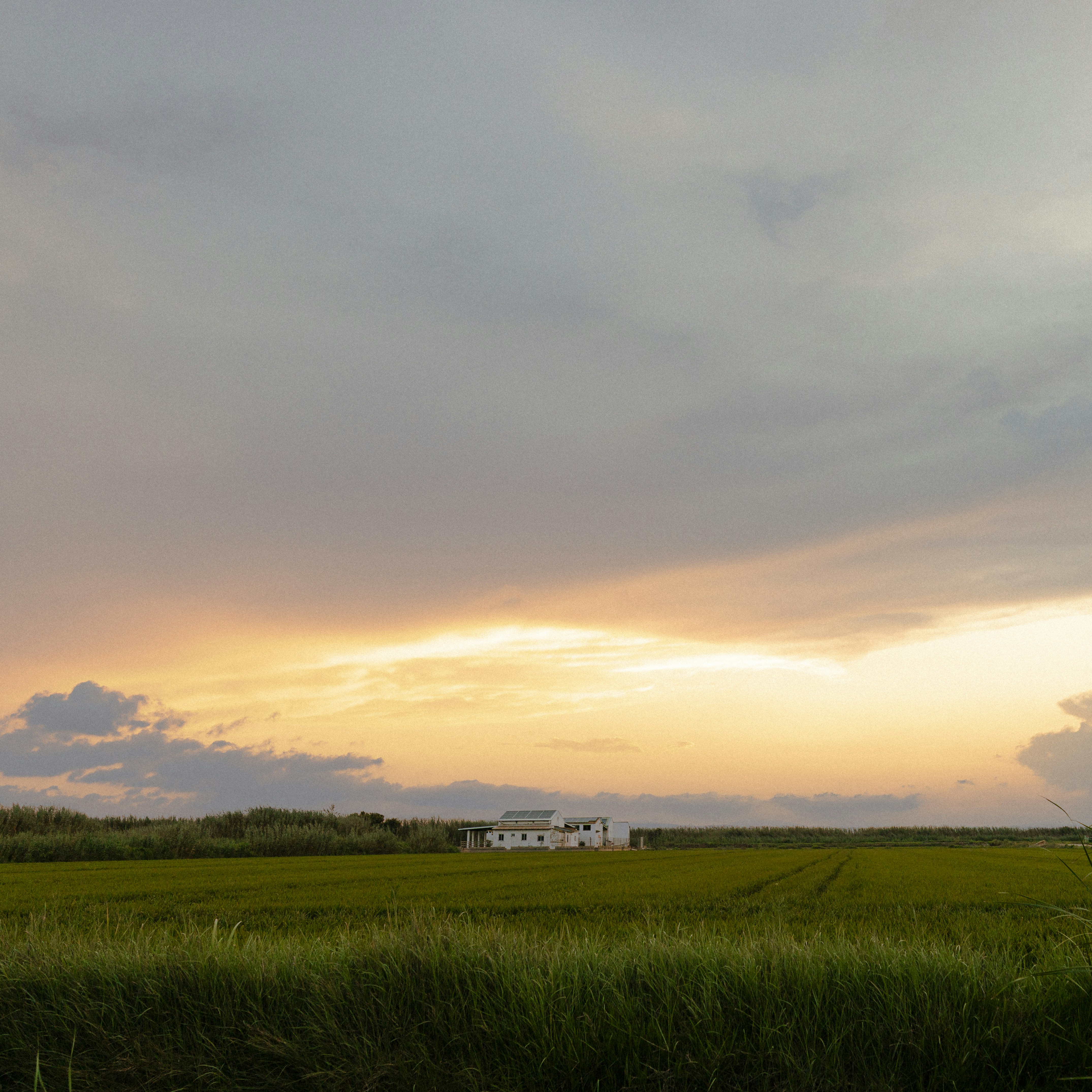 Horizon Farm at Sunset with Quiet Barn
