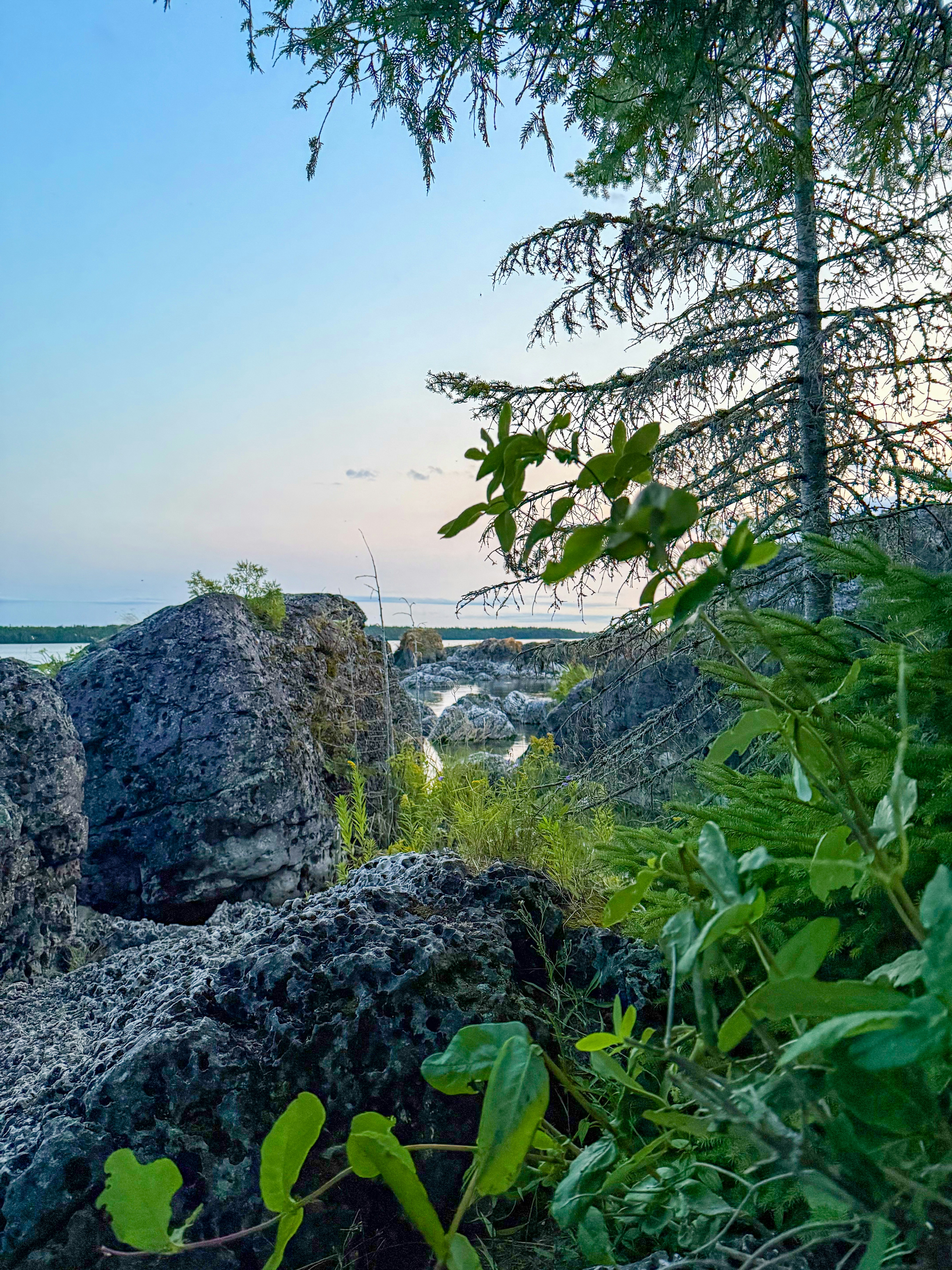 Rugged shoreline frame: mossy rocks and green overlook at dusk