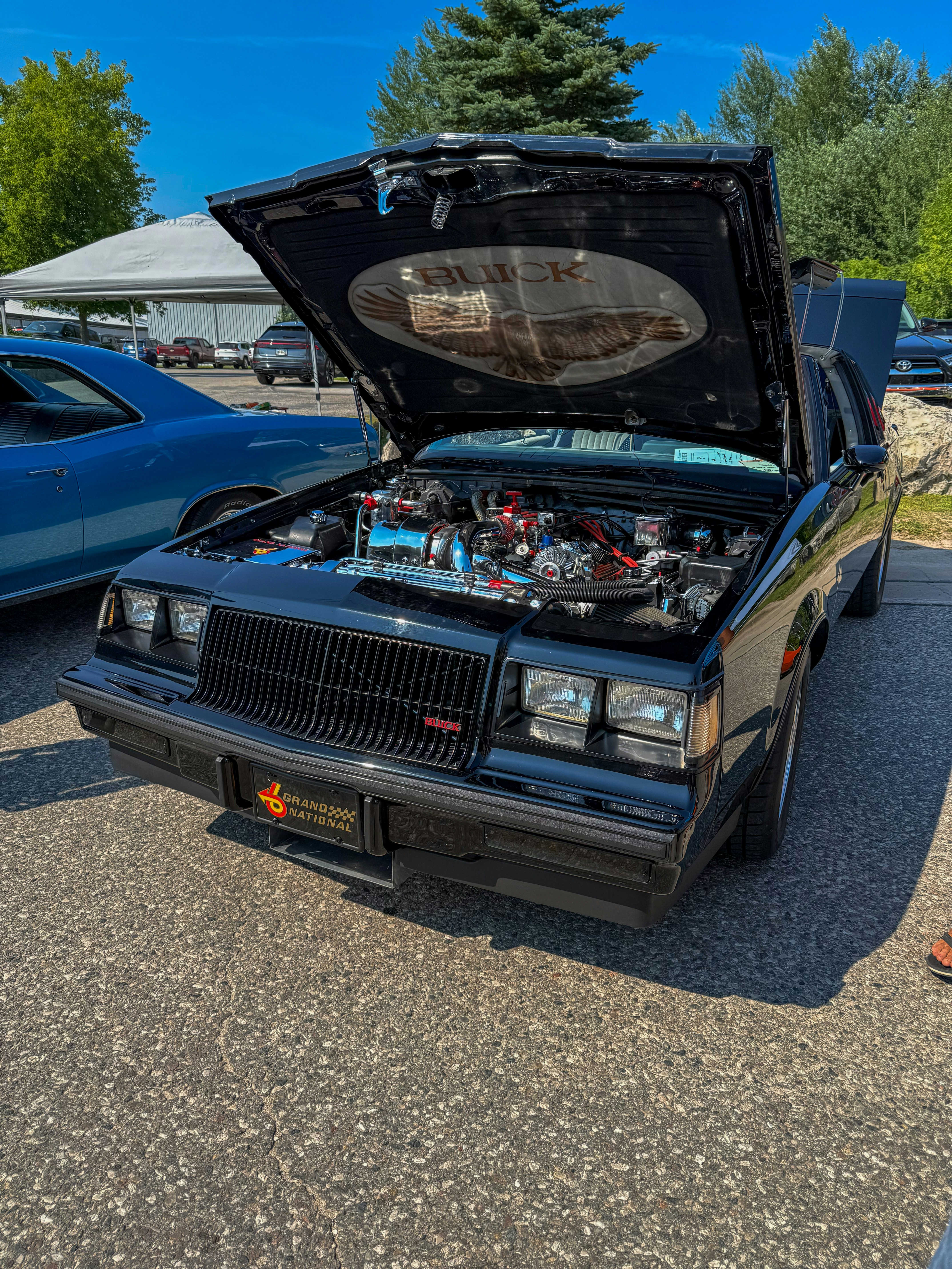 Under the Hood: Classic Buick Brilliance on a Sunny Day