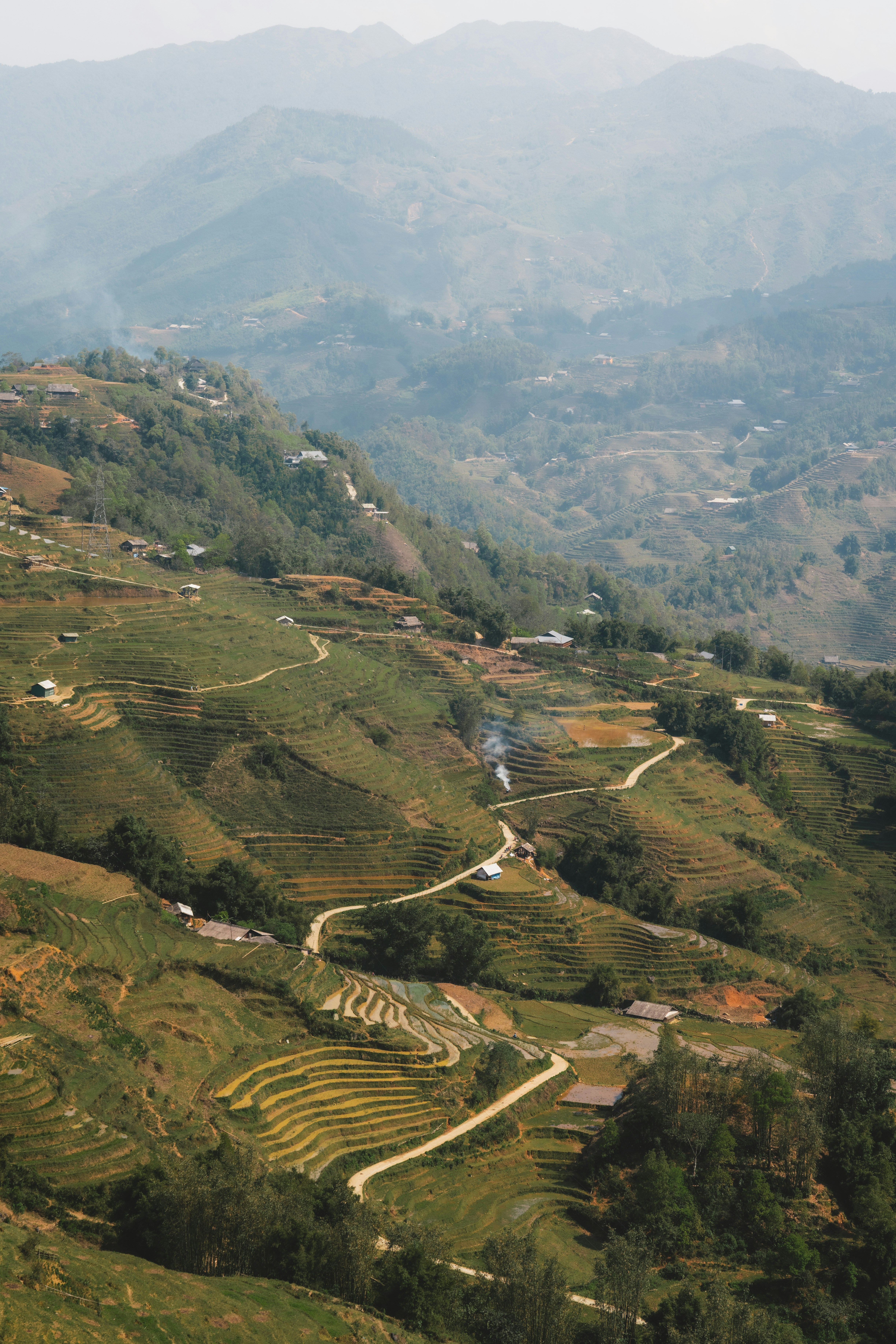 Terraced Hillside Odyssey: A Quiet Ember of Smoke and Stone