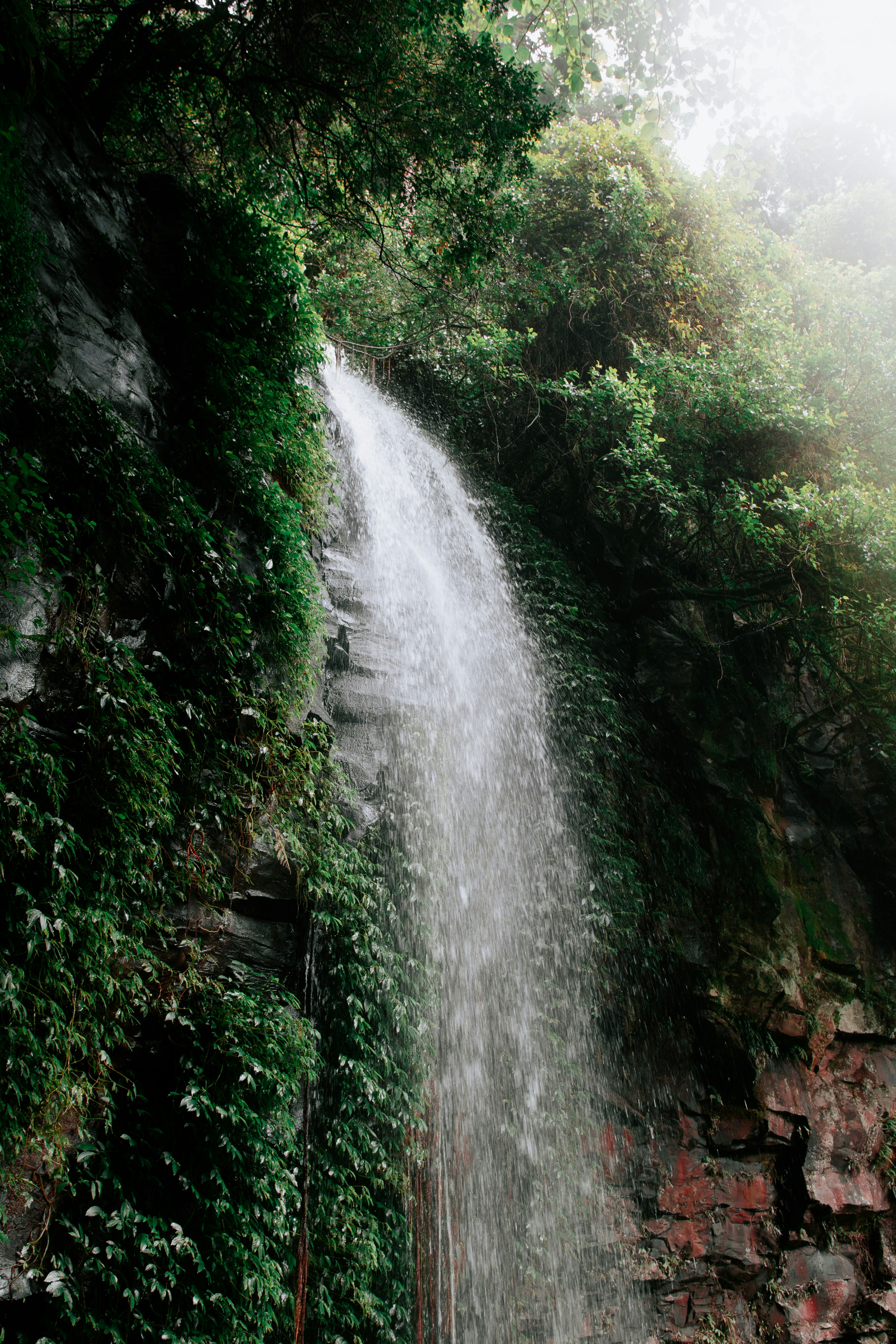 Cascading Green Curtain: A Hidden Waterfall Framed by Cliff and Foliage