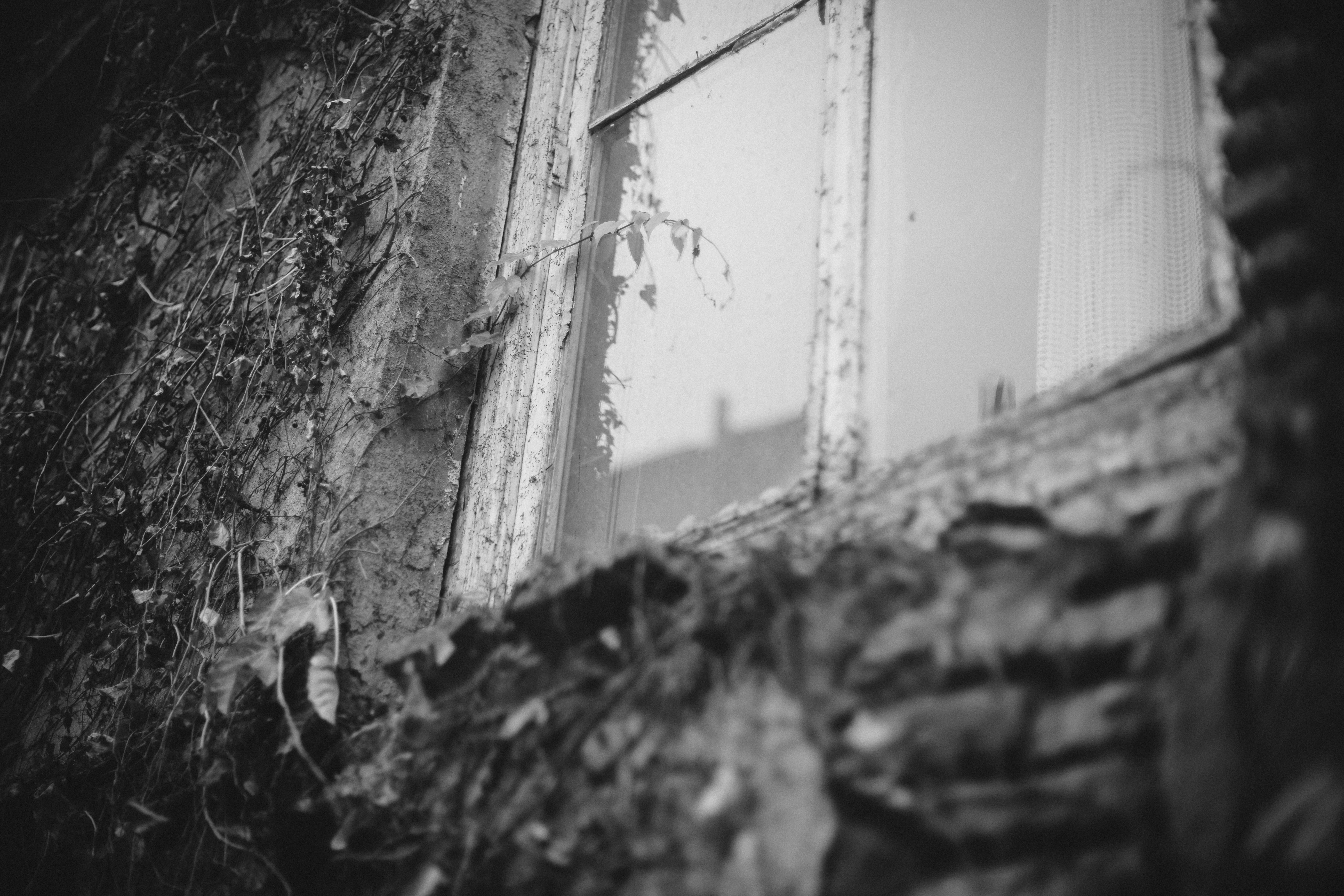 Dilapidated Window Verge: Quiet Decay in Monochrome