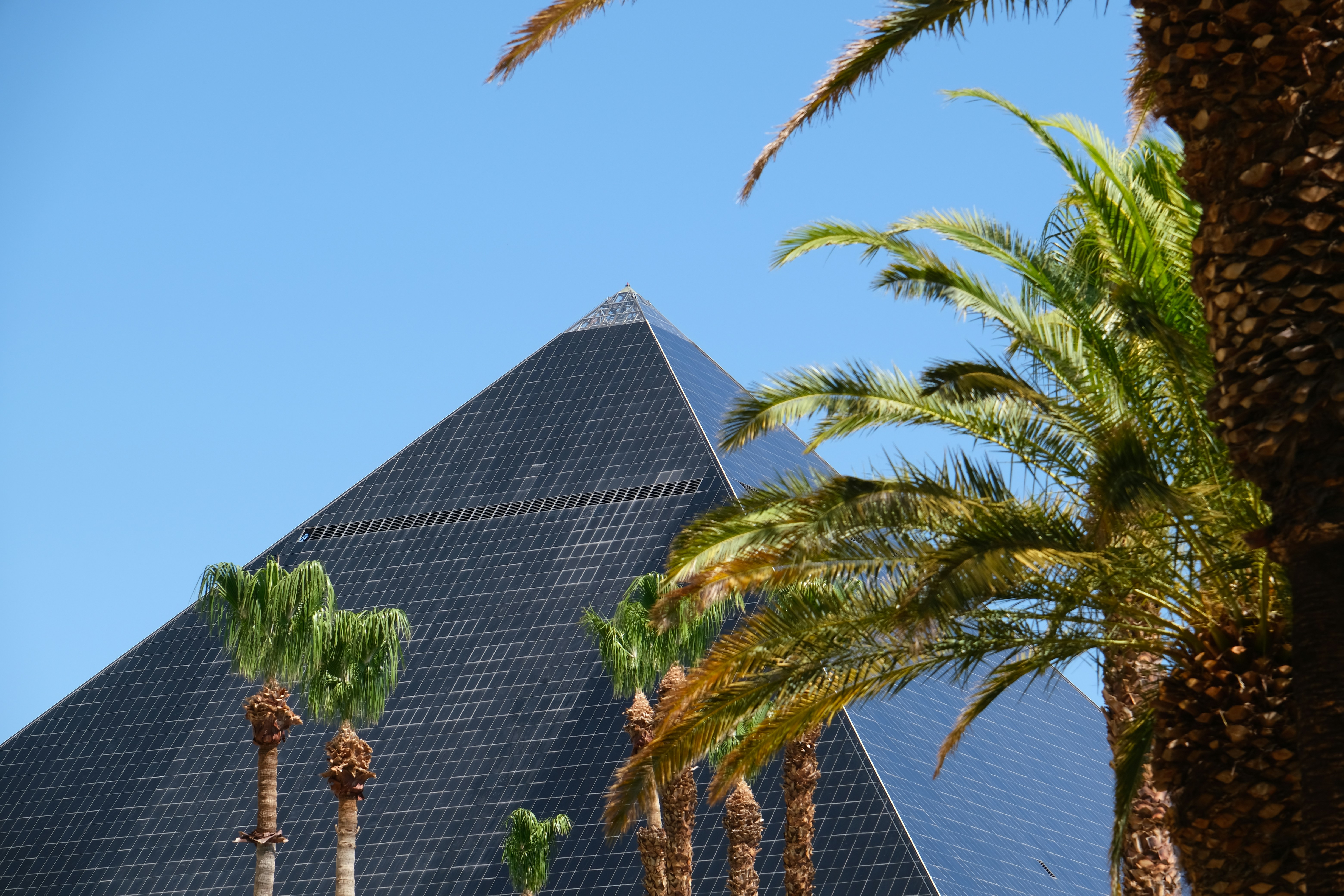 Angular Monolith: A Pyramid Pierces the Palm Fringed Sky
