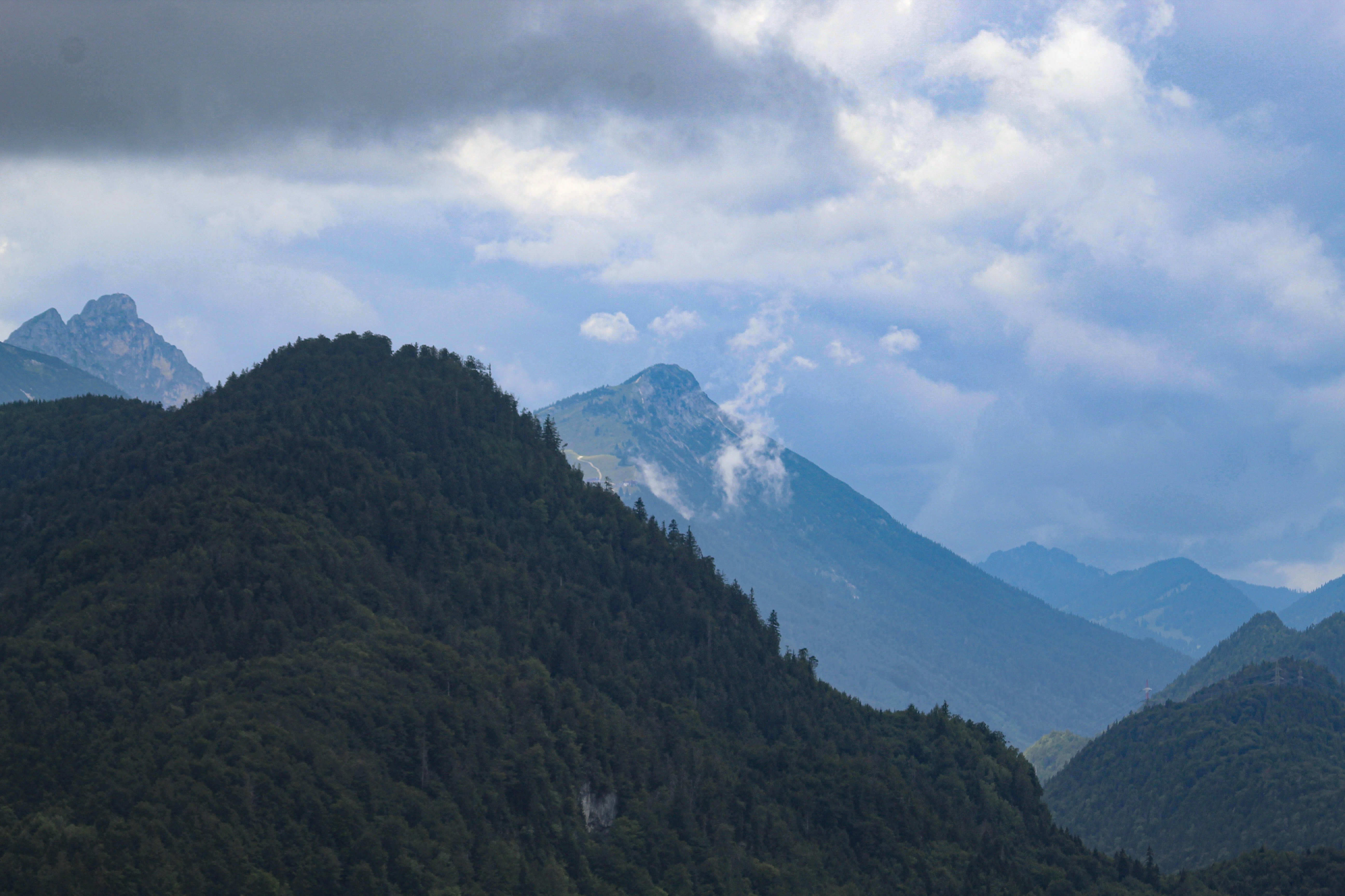 Quiet Summit: Layers of Blue and Pine