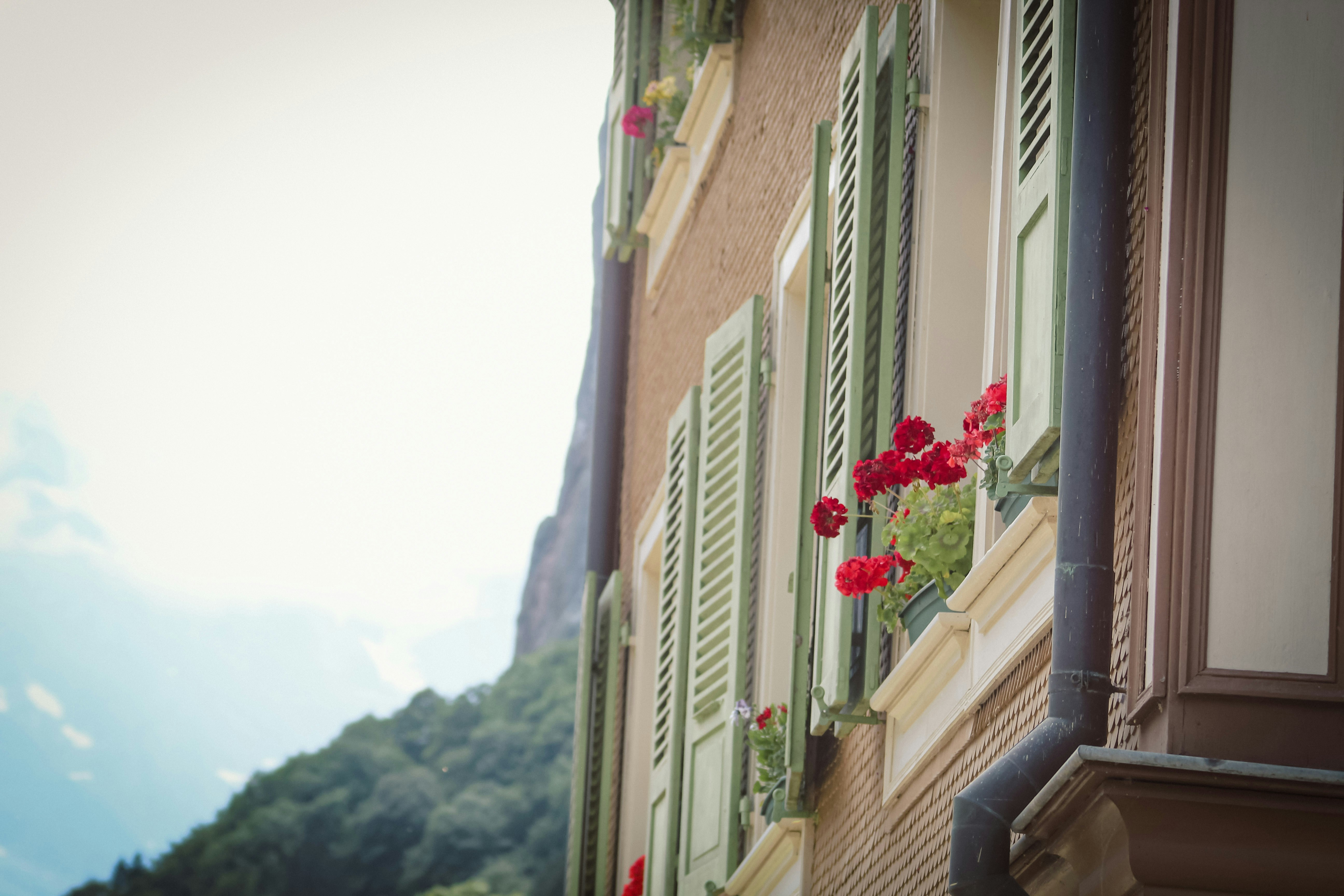 Red Geraniums on a Quiet Alpine-Inn Facade