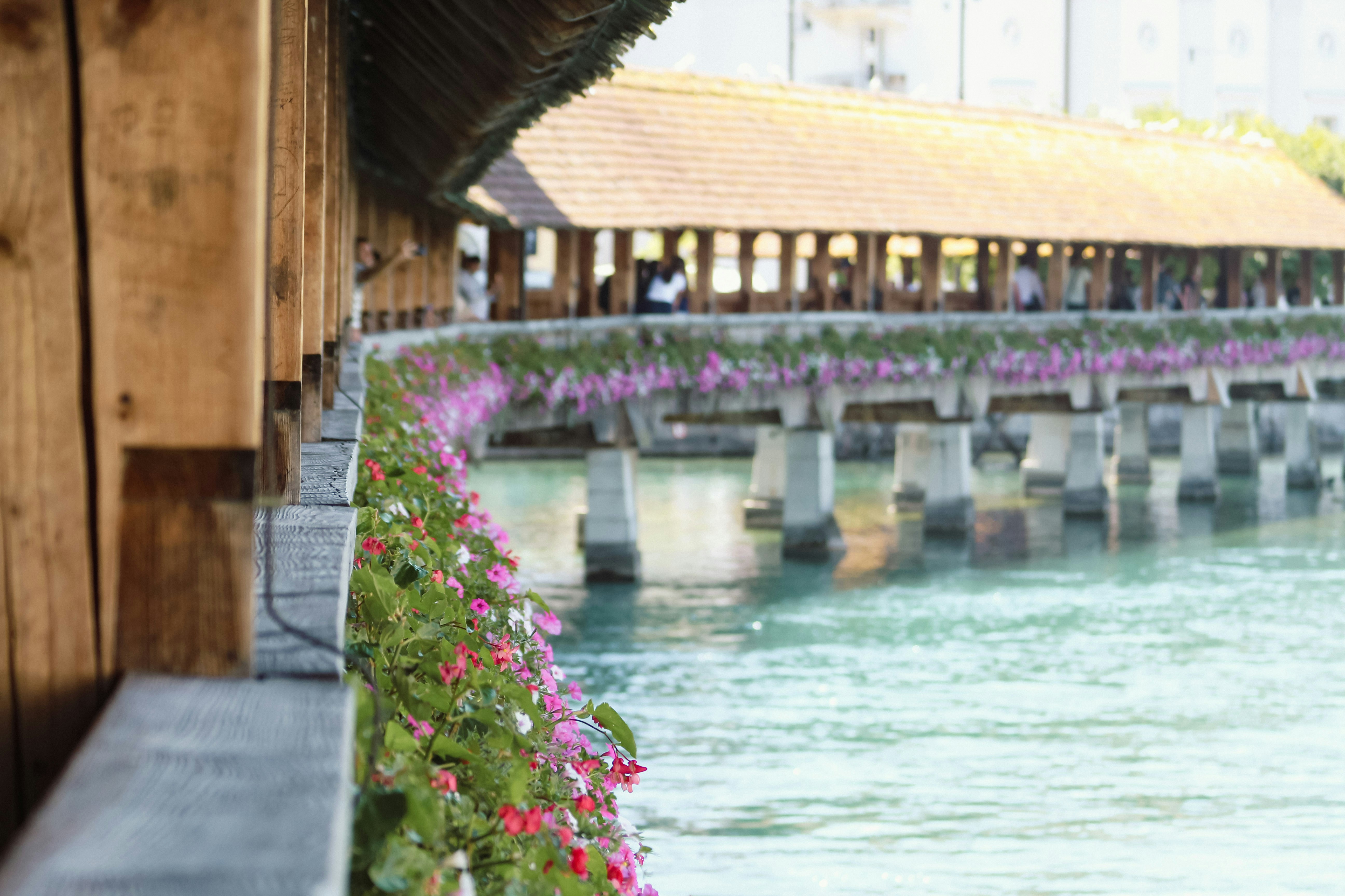 Flowers on the Pier: A Sunlit Corridor Over Turquoise Waters