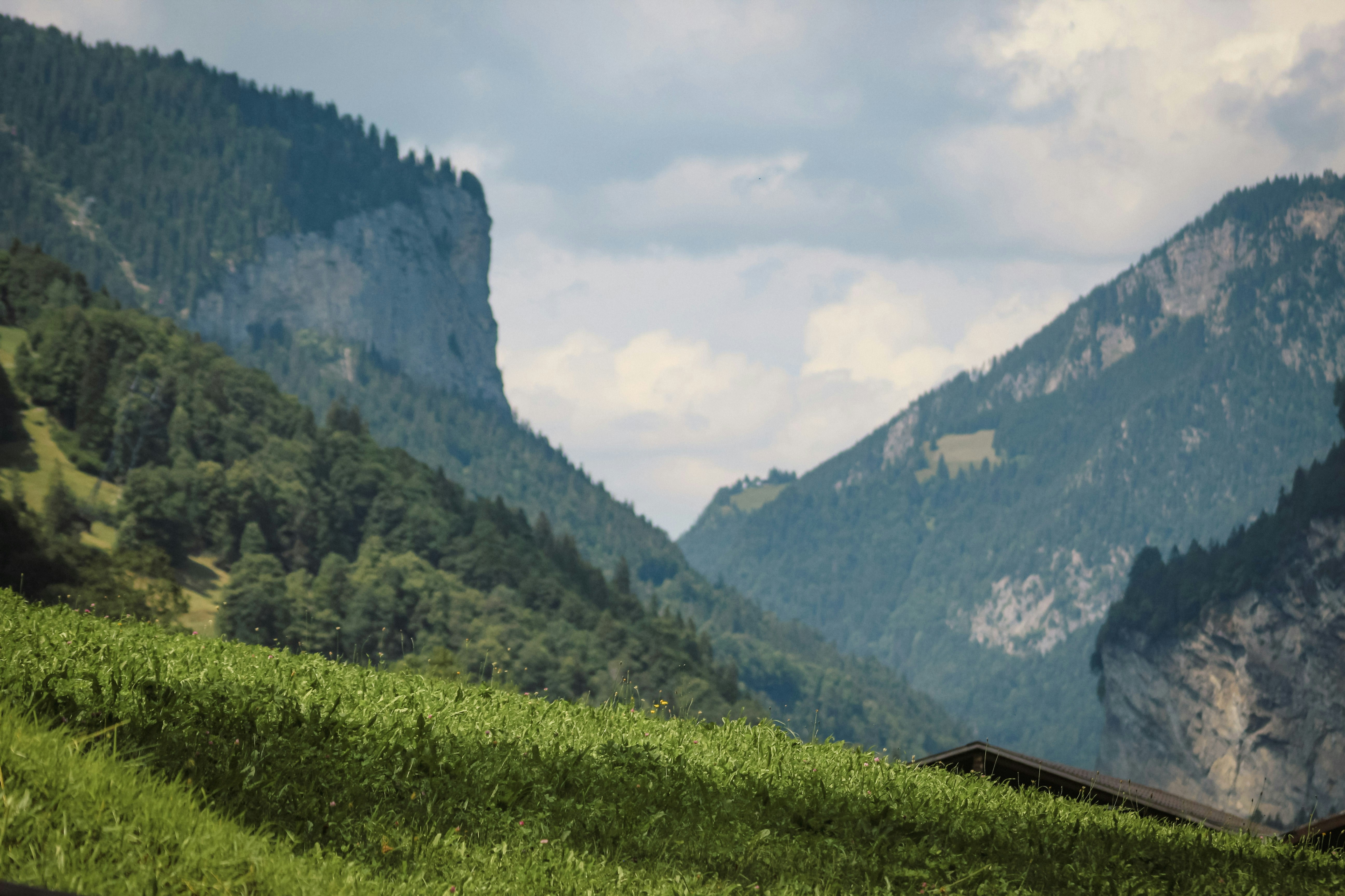 Valley Between Cliffs: A Quiet Alpine Vista