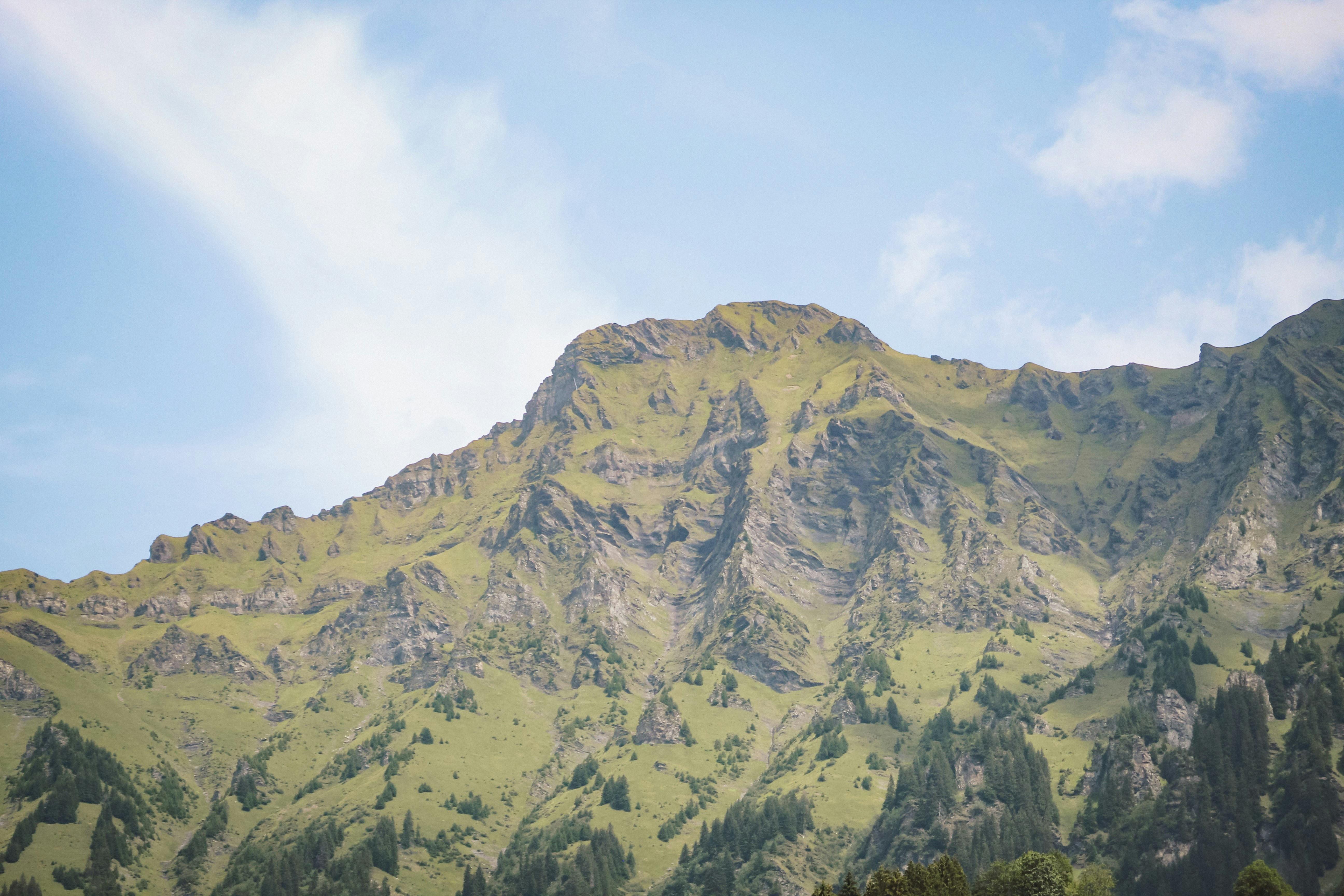 Sunlit Alpine Summit: A Quiet Vista Over Green Slopes