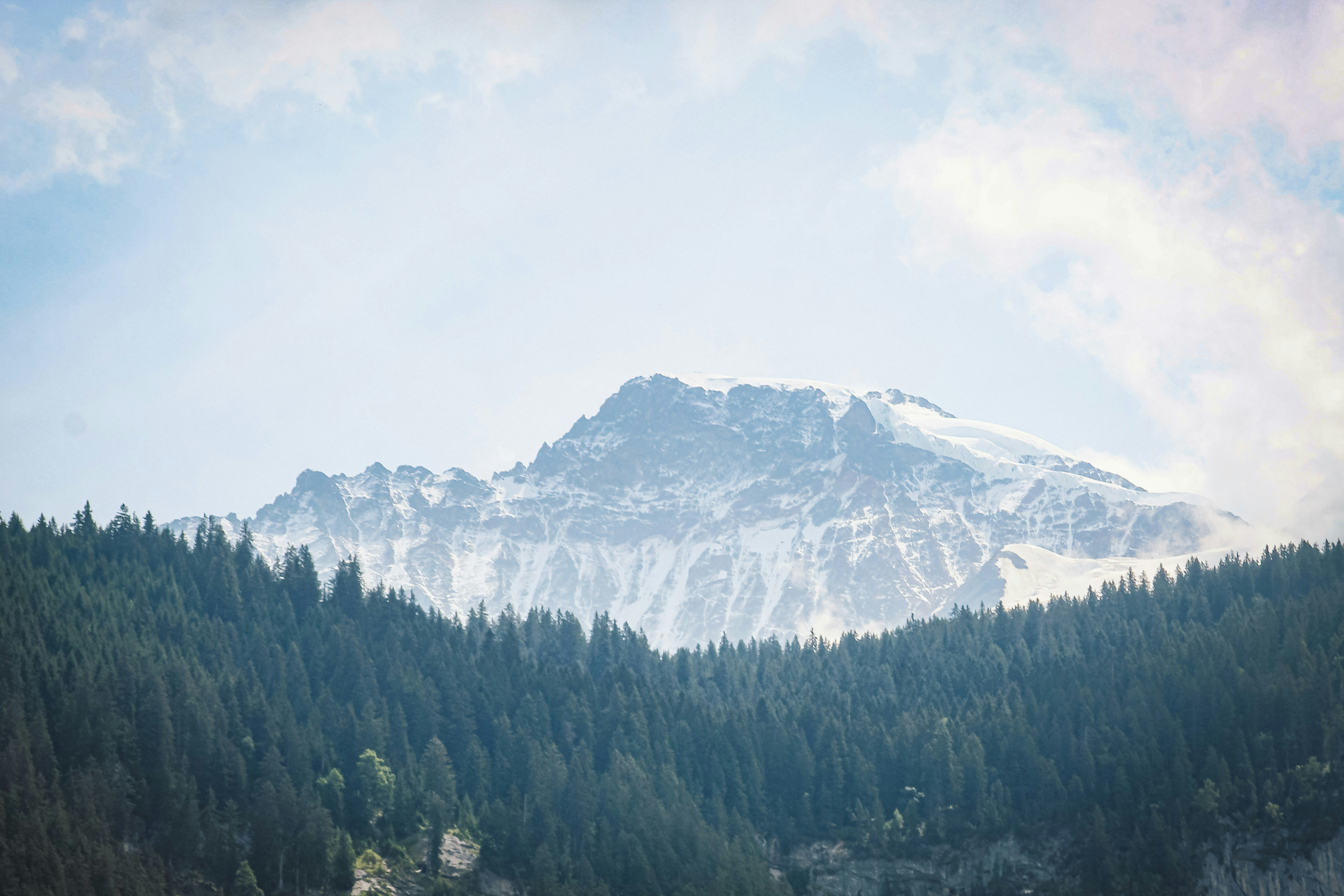 Mist-Kissed Peak: Snow-Capped Summit Above a Conifer Sea