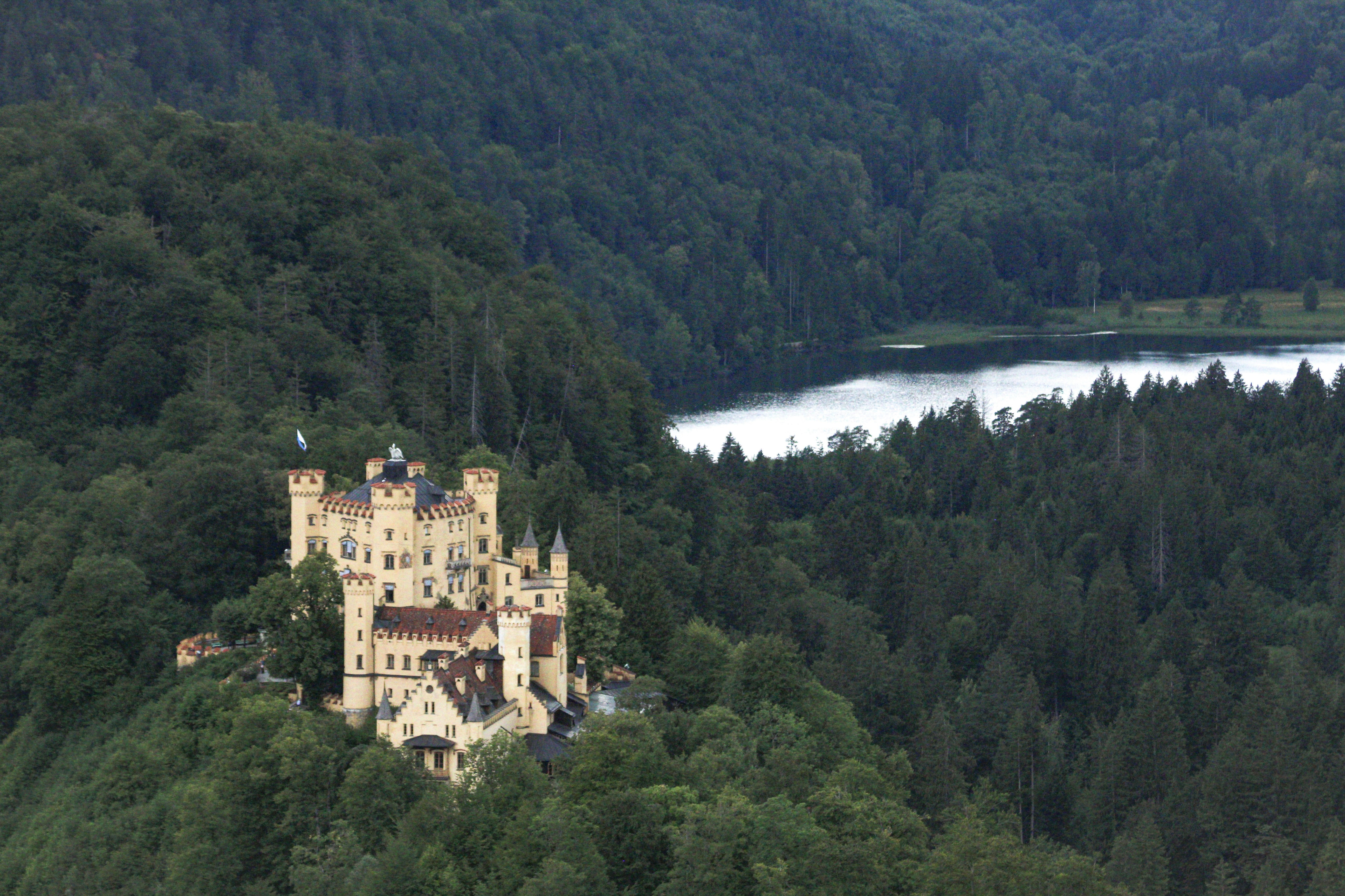 Castle in the Green Veil