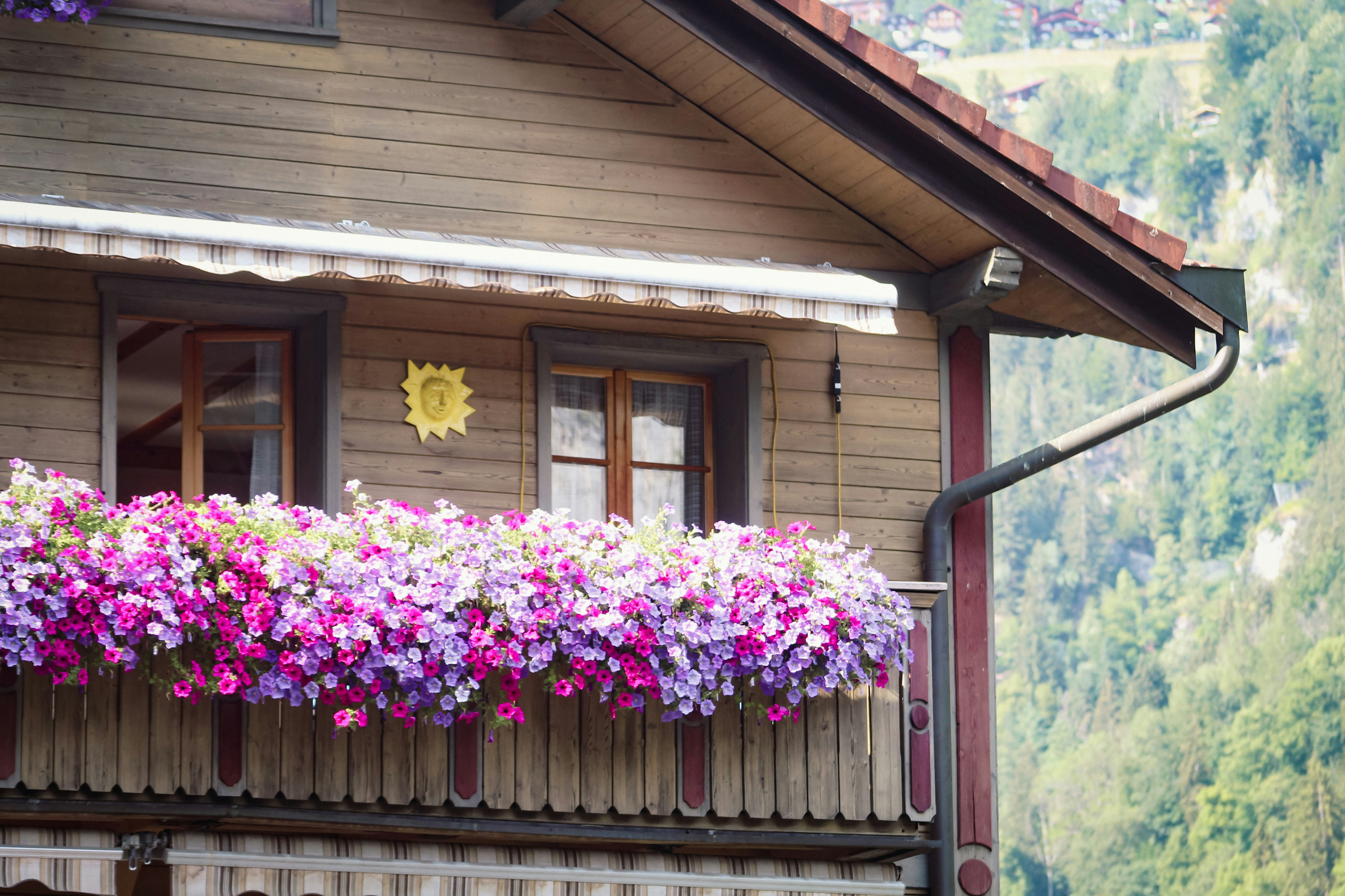 Balcony Blooms Under Alpine Sun