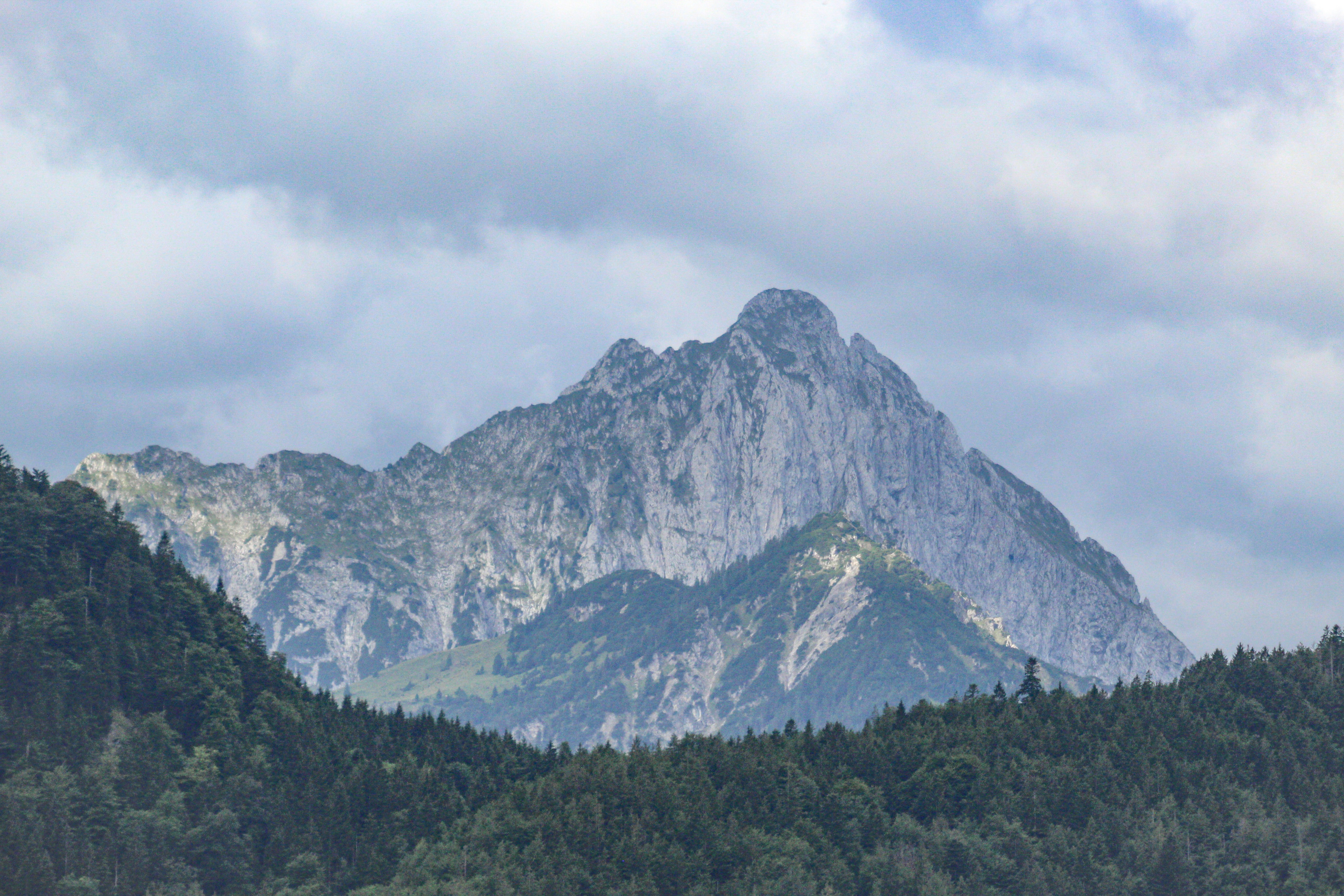 Peak Crown: A Lone Mountain Rising Above the Pines