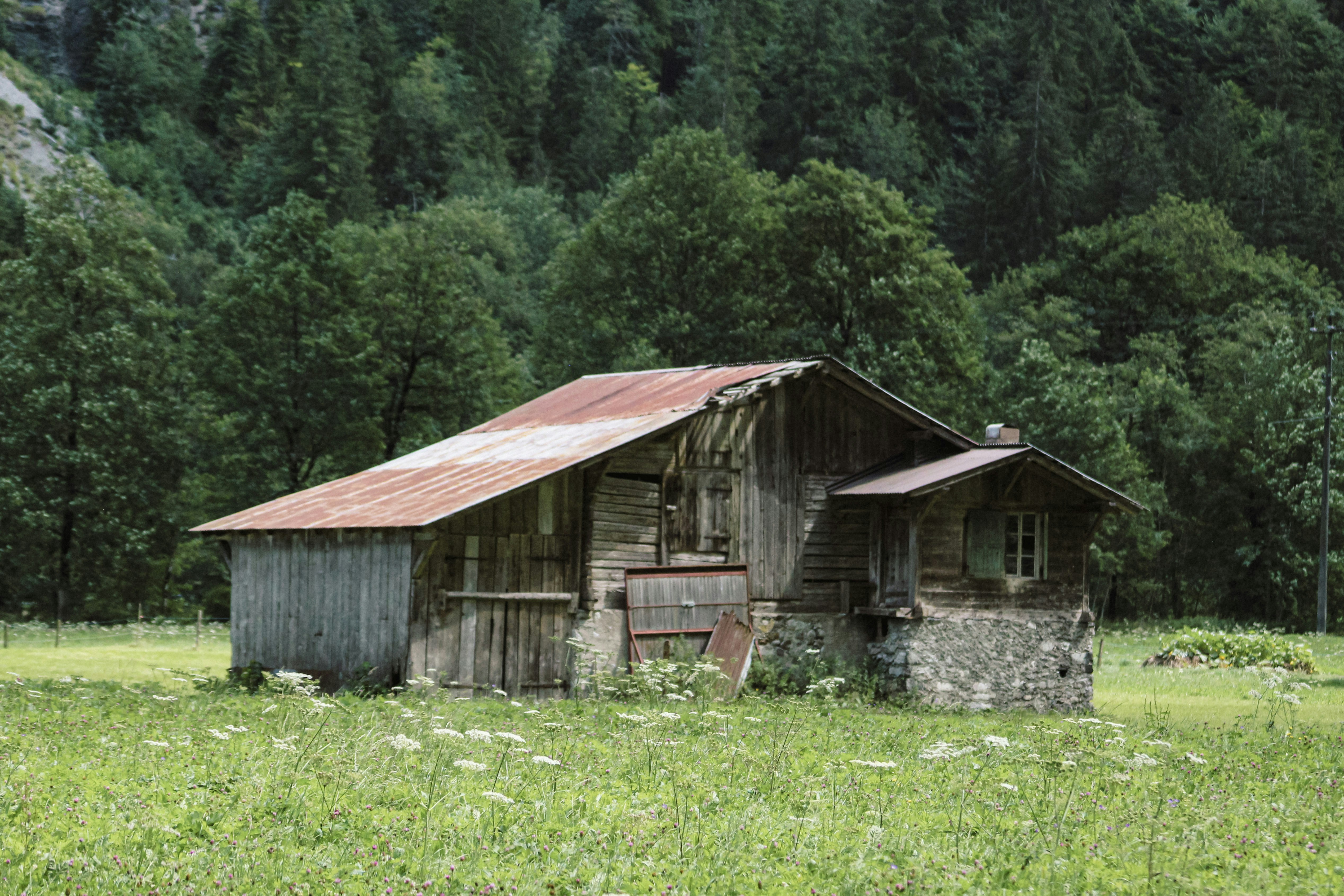 Weathered Barn in a Meadow of Green