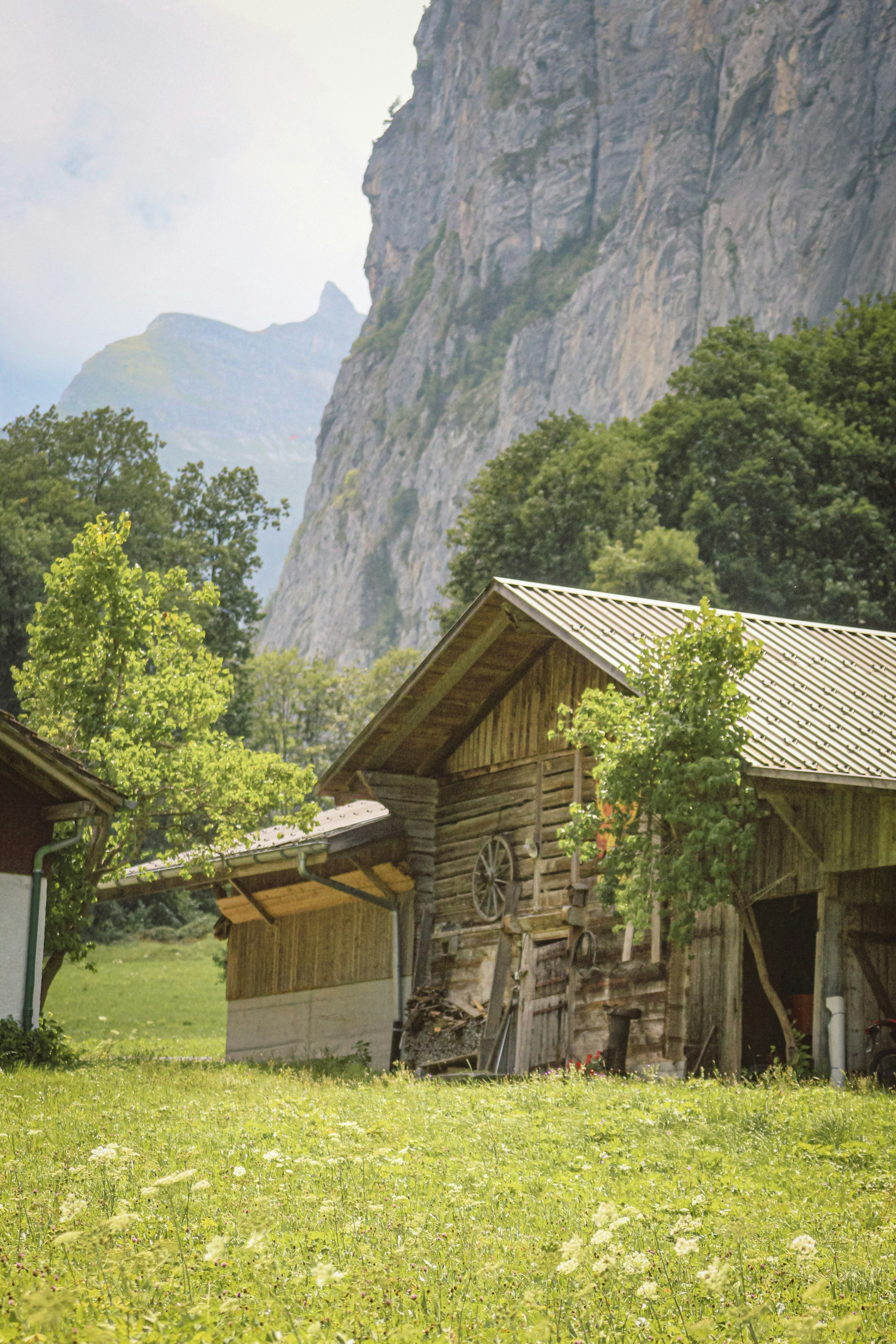 Sunlit Farmstead at the Foot of a Towering Cliff
