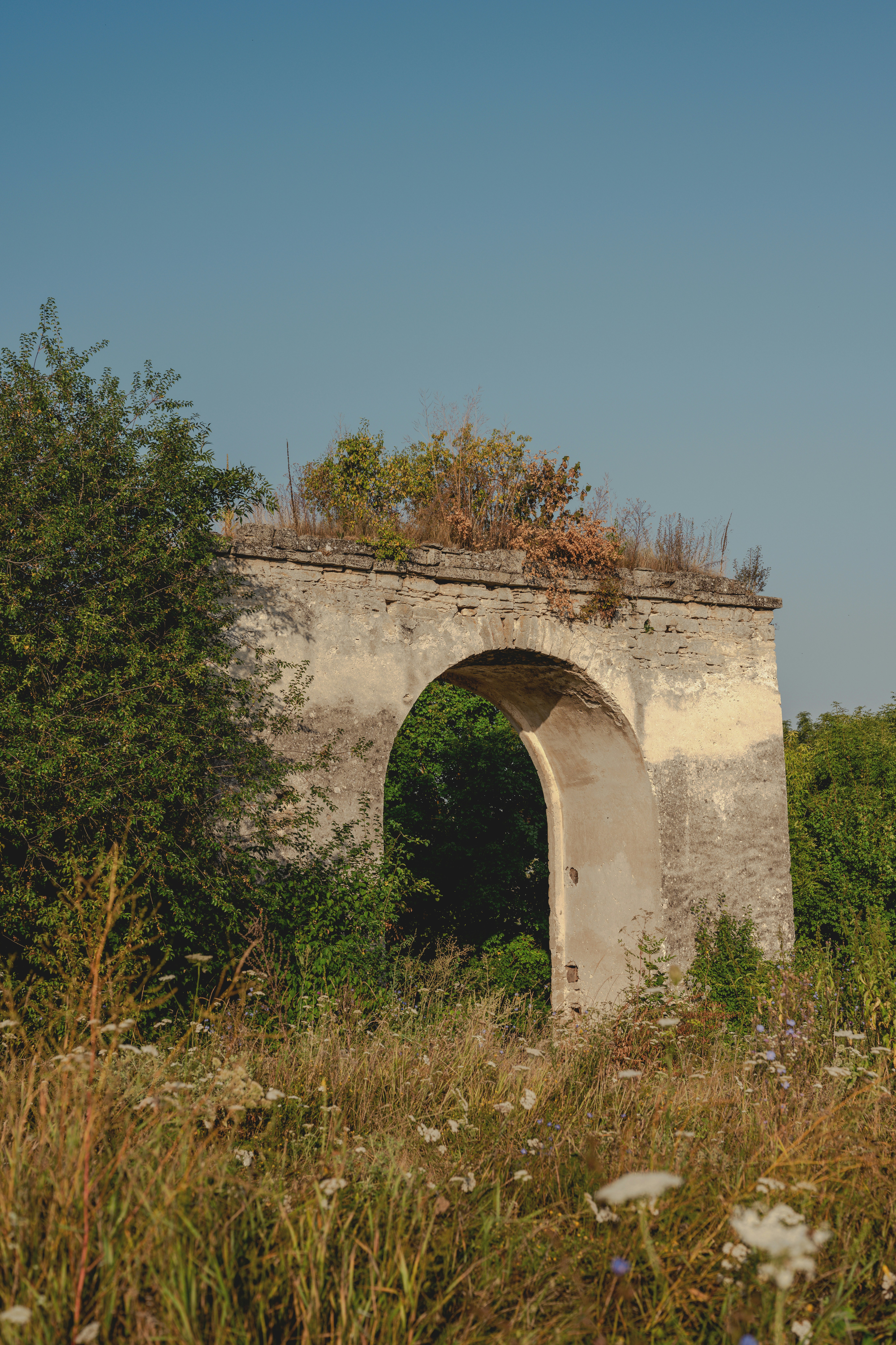 Ruined Archway Amid Wildflowers under a Clear Evening Sky