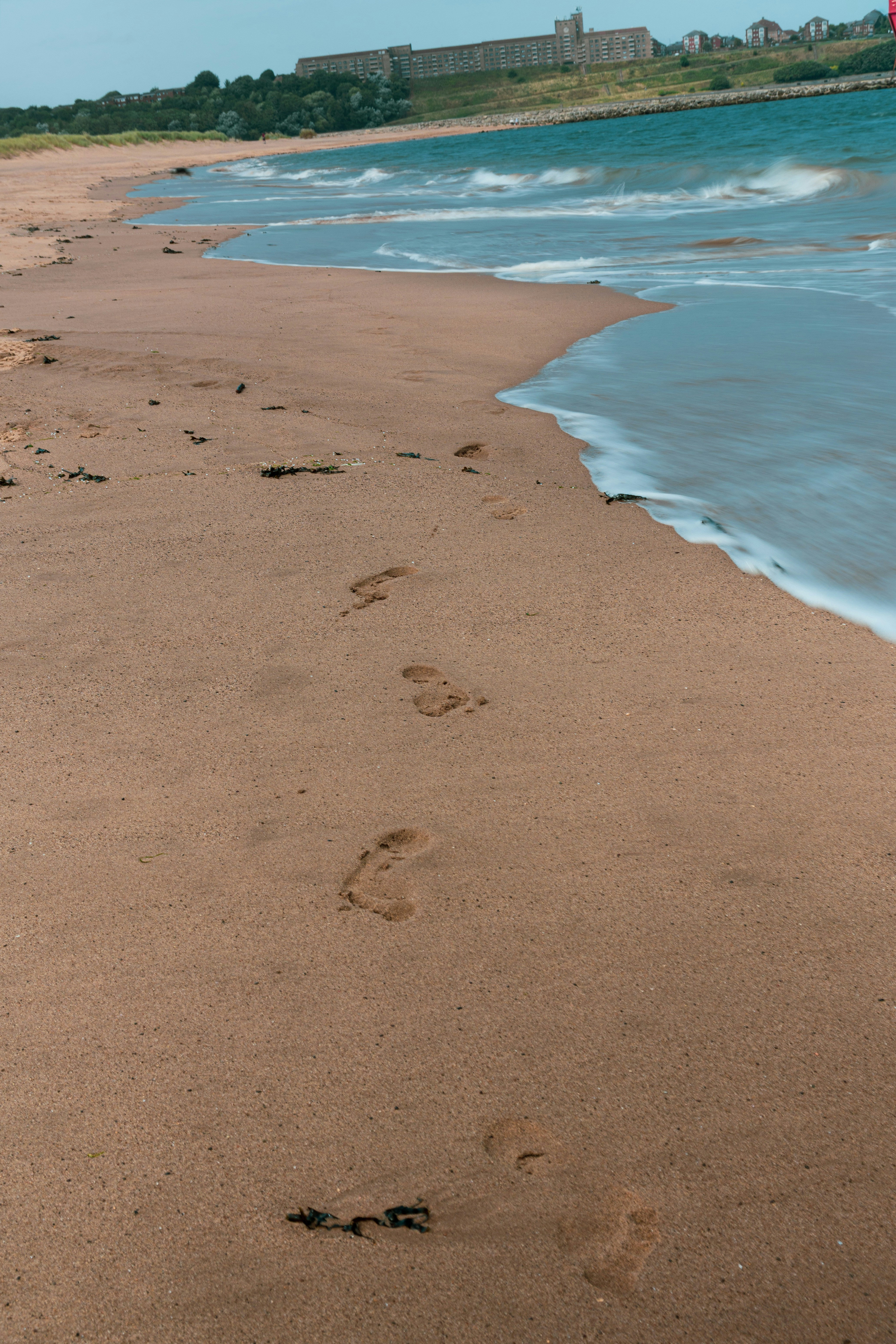 Footprints toward the sea: a lone path along sunlit shoreline