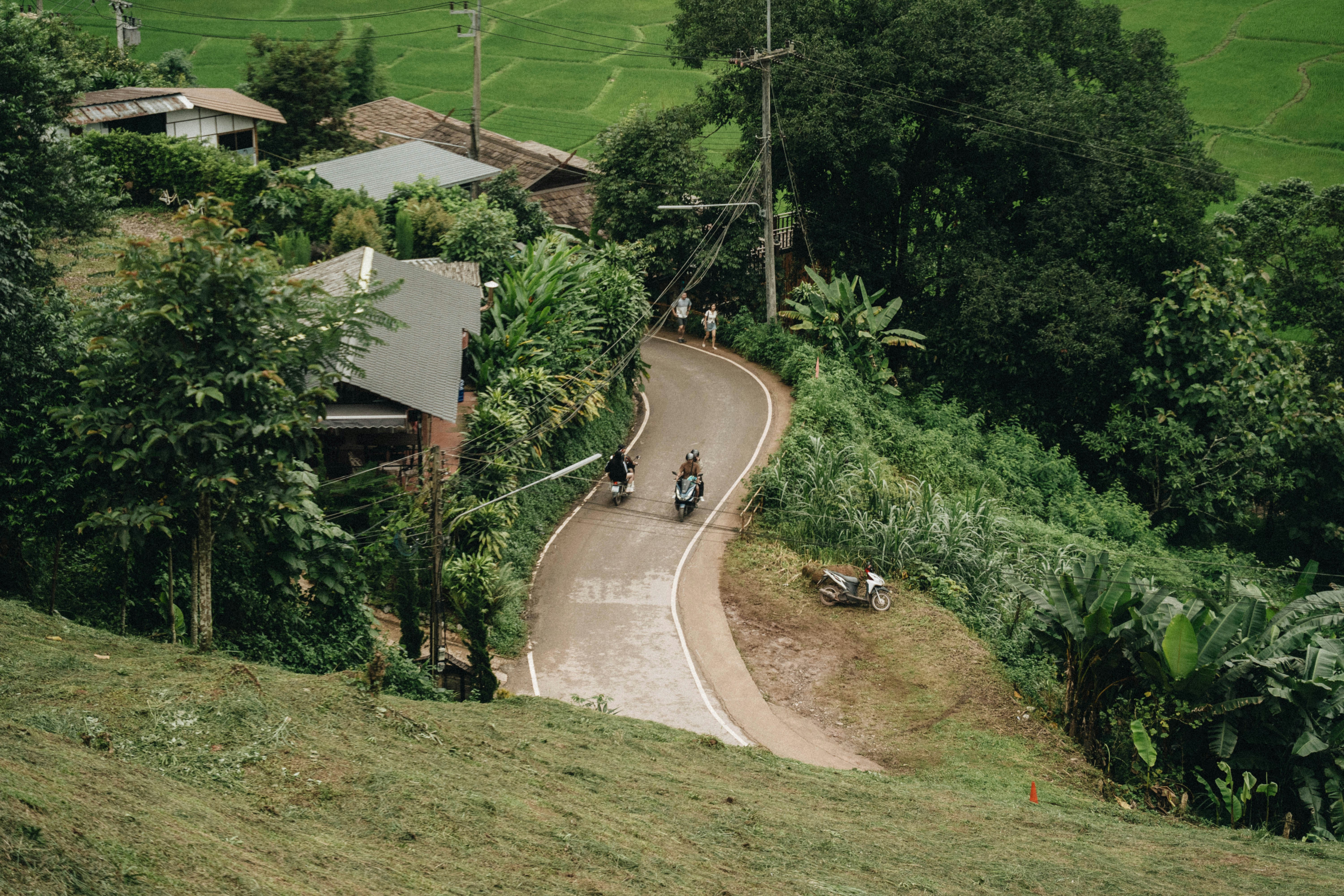 Two people riding motorbikes on a winding road through a lush green landscape