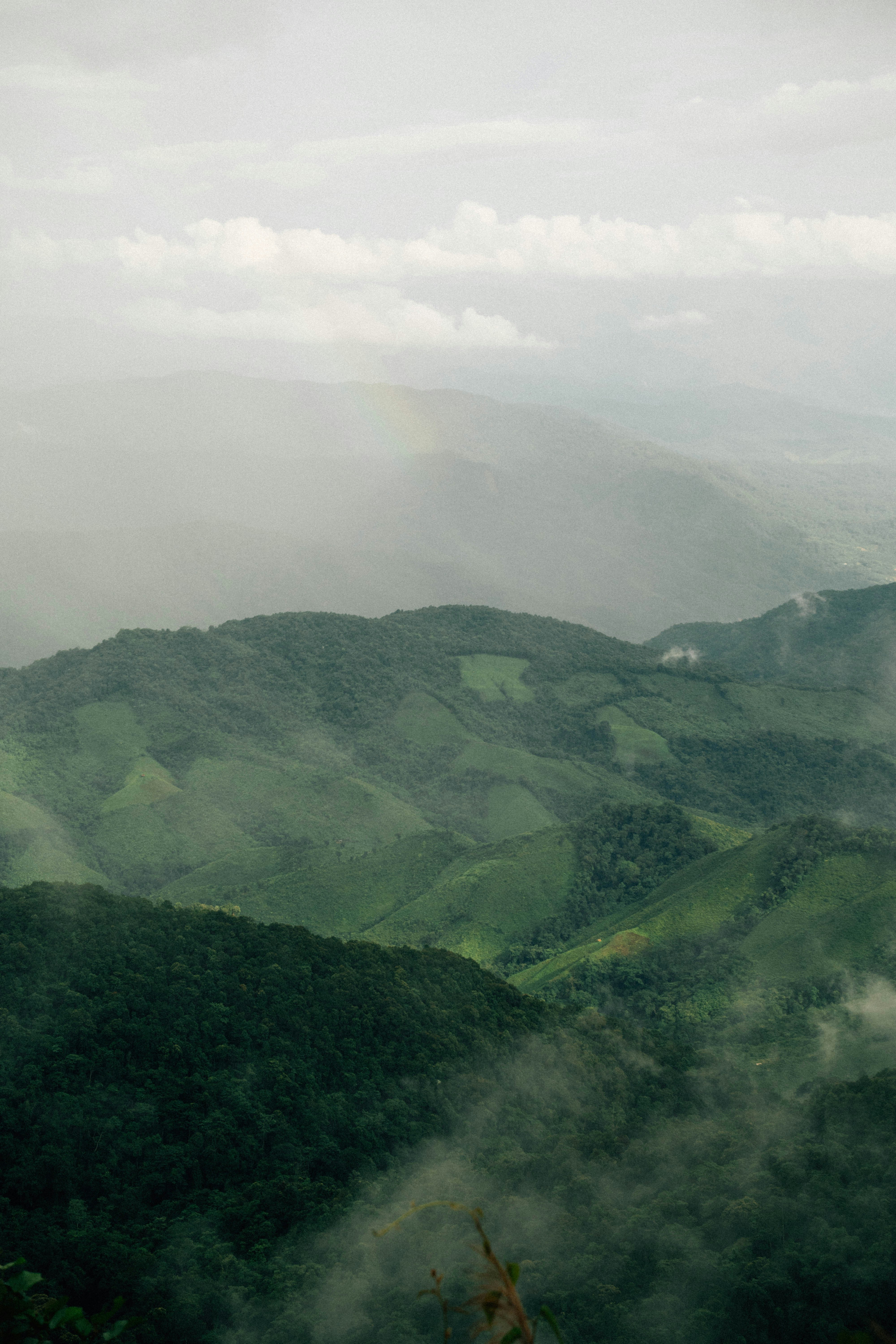 Mist over Green Valleys: A Quiet Reach toward the Horizon