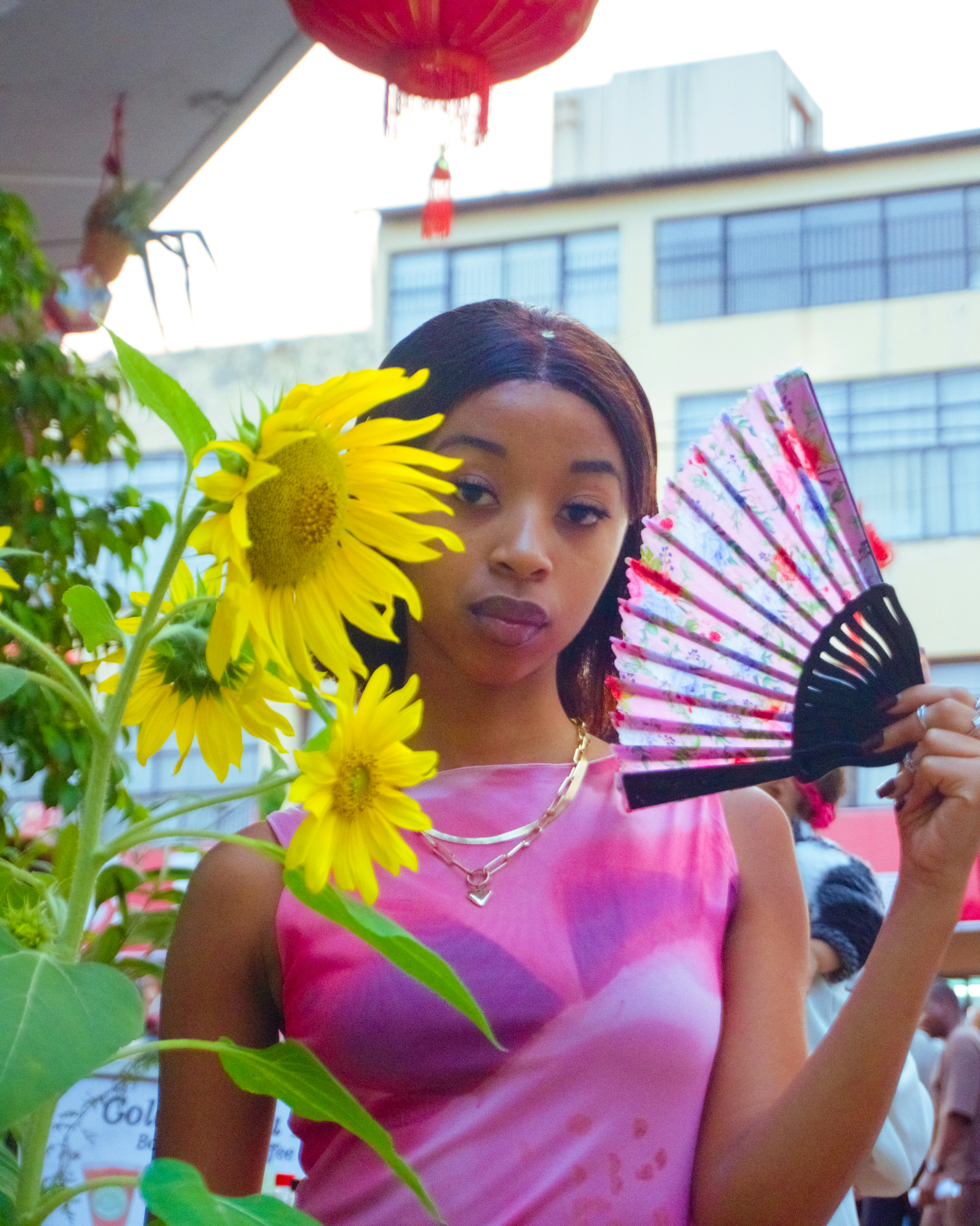 Sunlit Bloom and Fan: Portrait by the Sunflower Frame