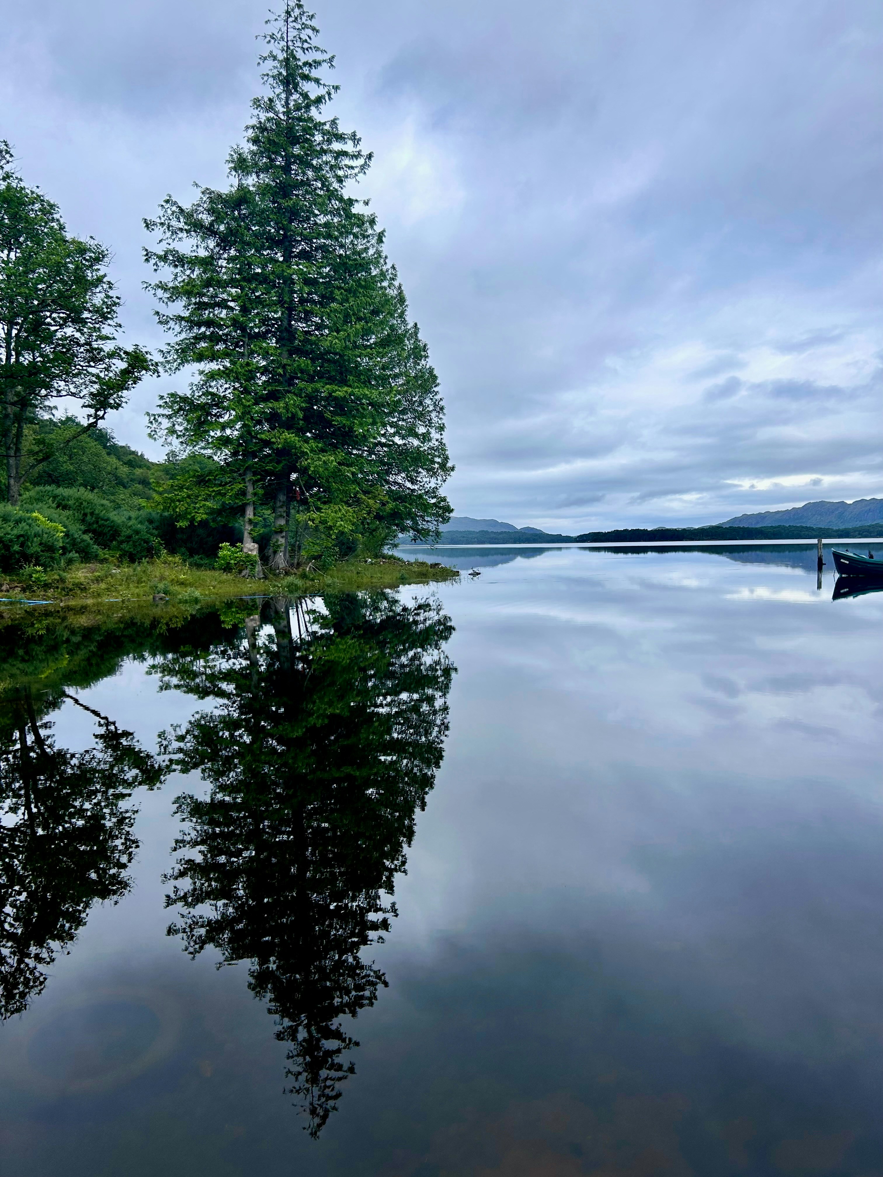 Twin Pines at the Glassy Edge