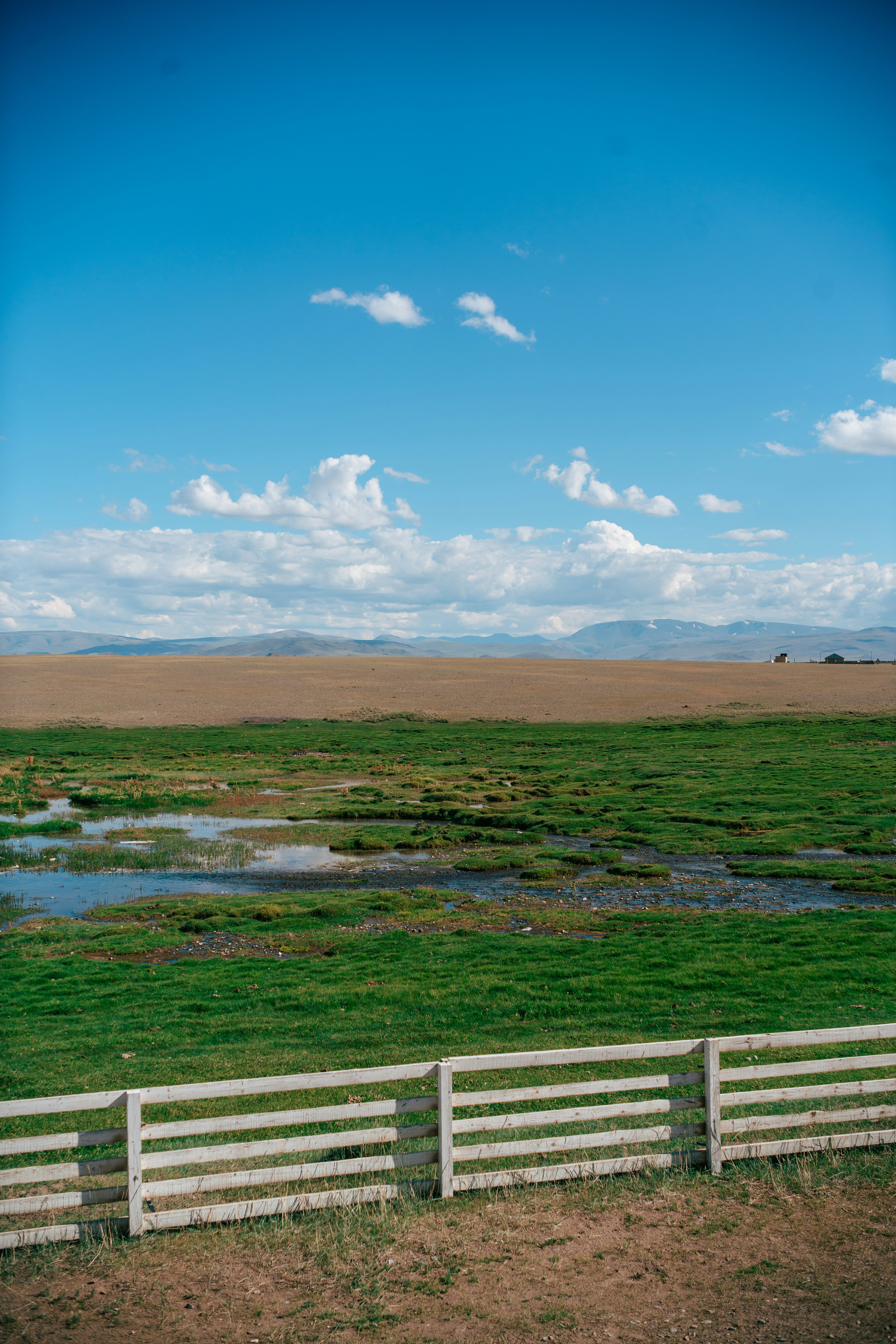 Fence-Line Horizon: A Quiet Prairie Under Expansive Sky