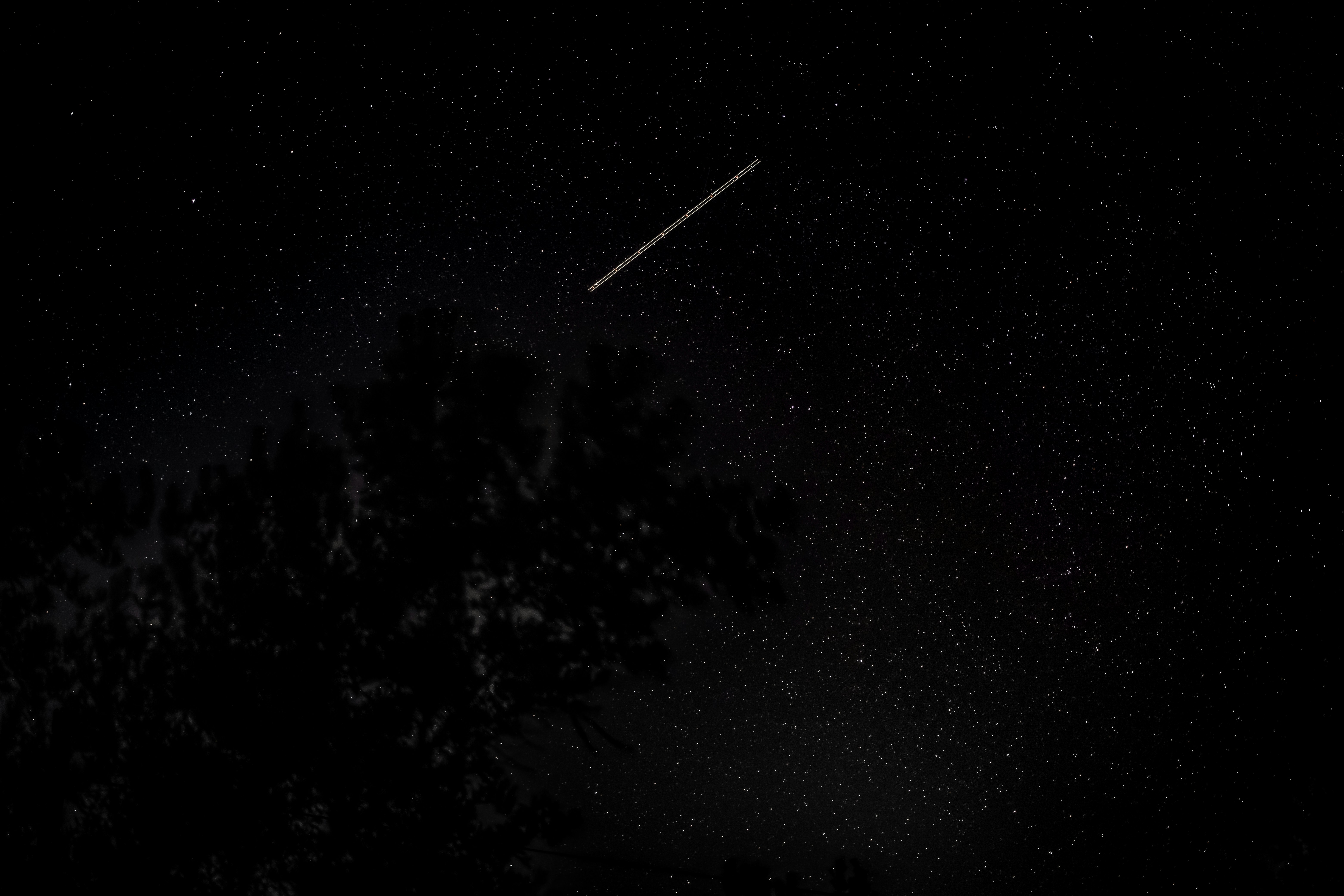 Meteor Arc Across a Quiet Starfield