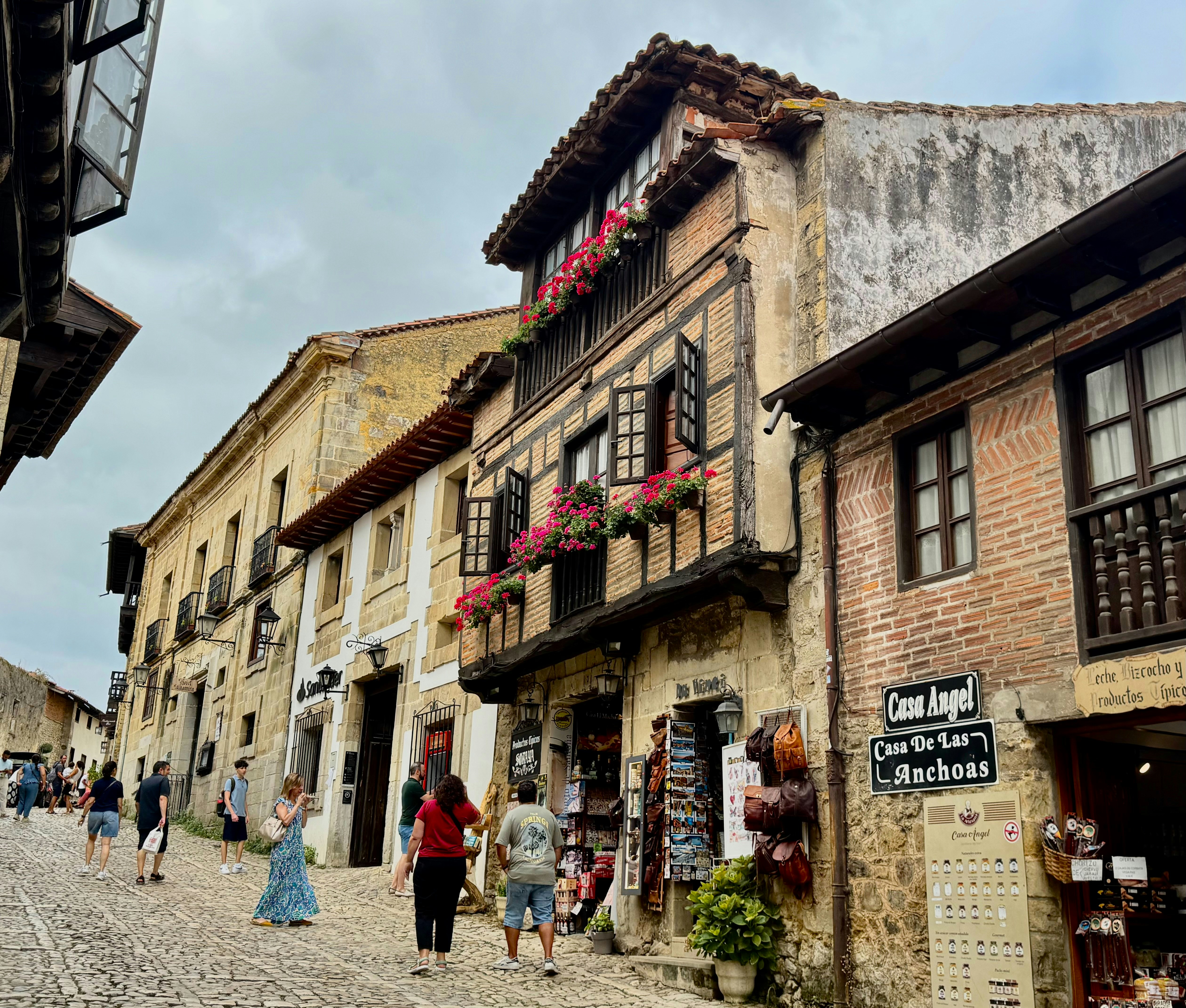 Cobblestone Lane of Flowers and Facades