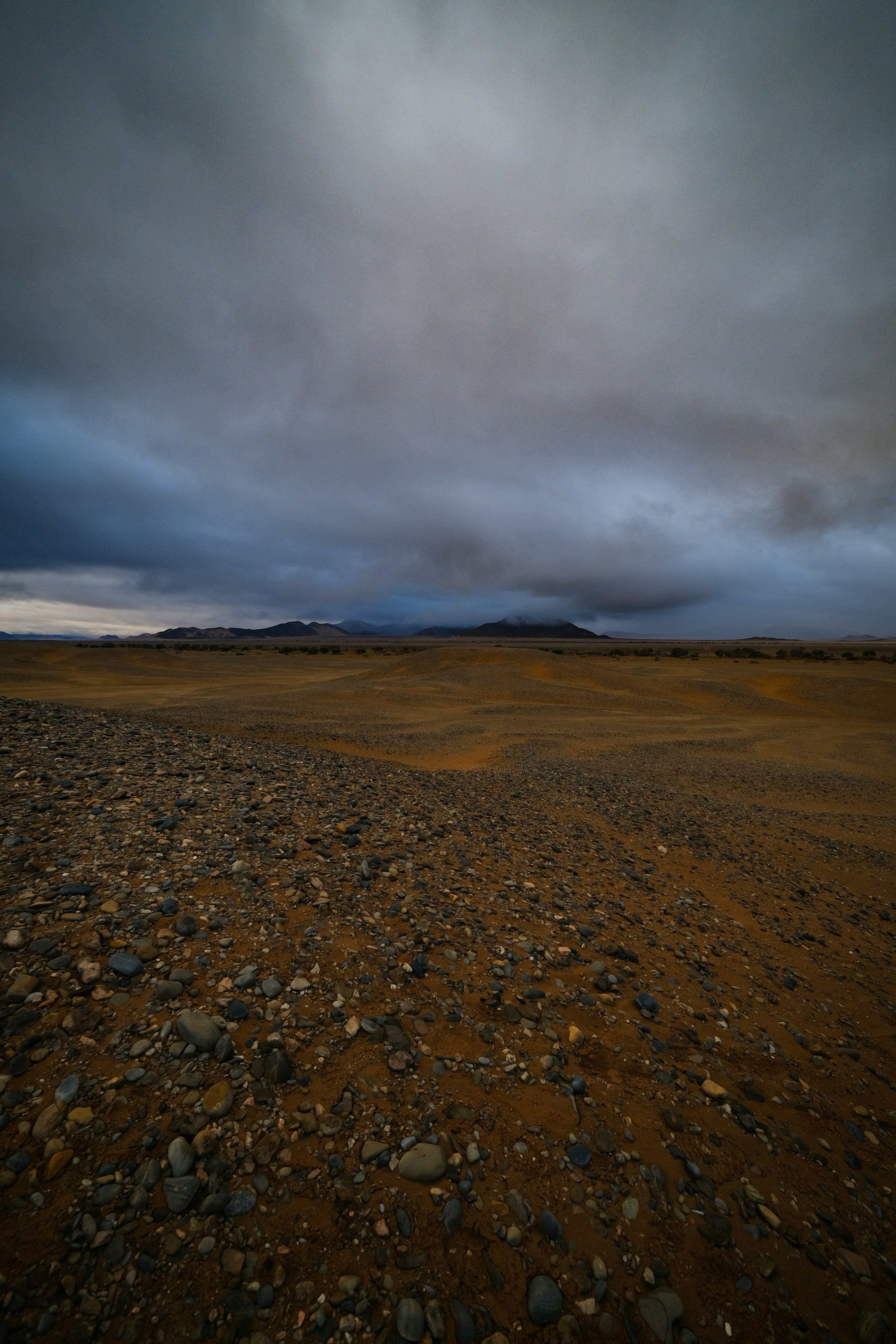 Desert Plain Under a Brooding Sky