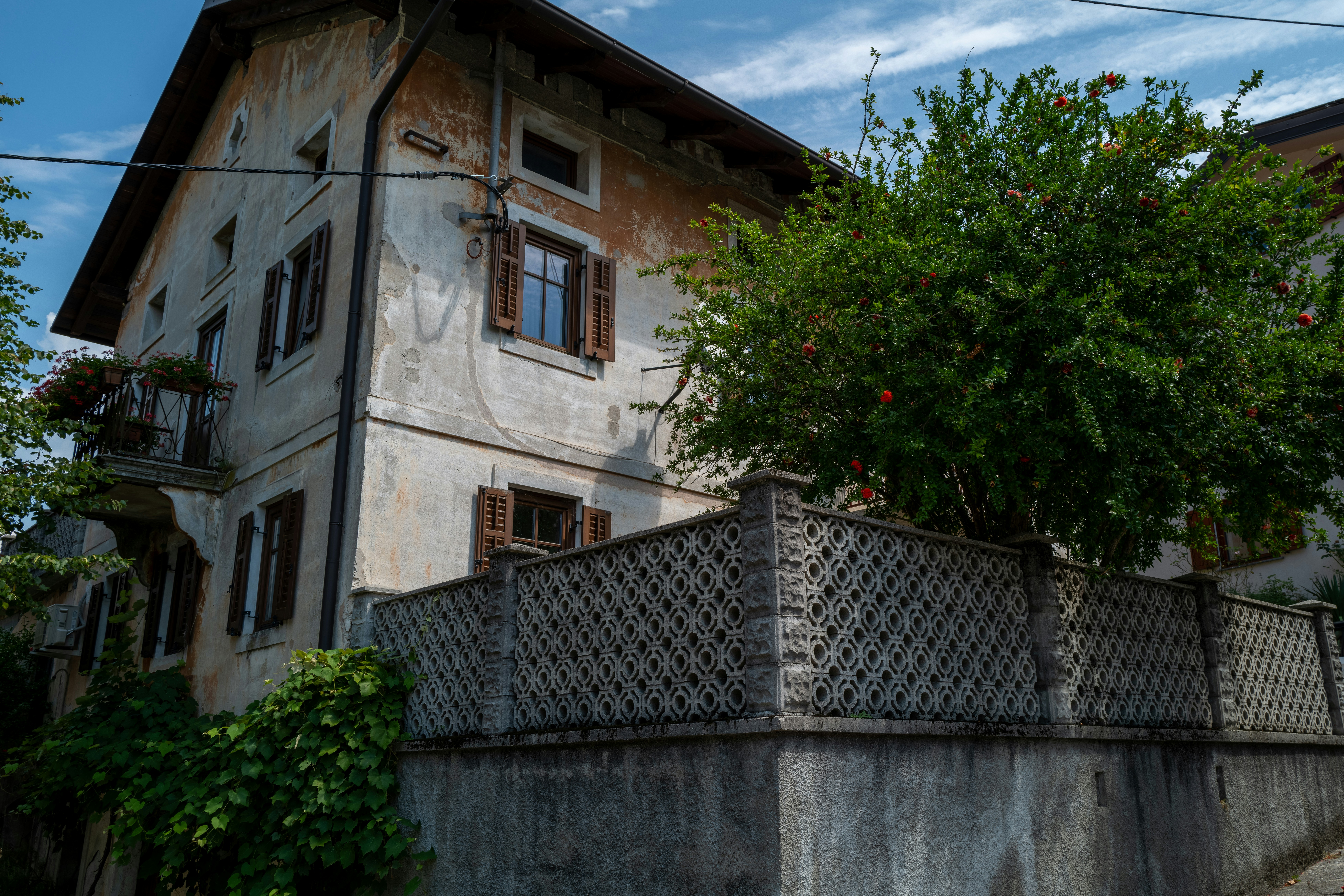 Quiet Mediterranean Haus: Weathered Villa Framed by Citrus and Fence
