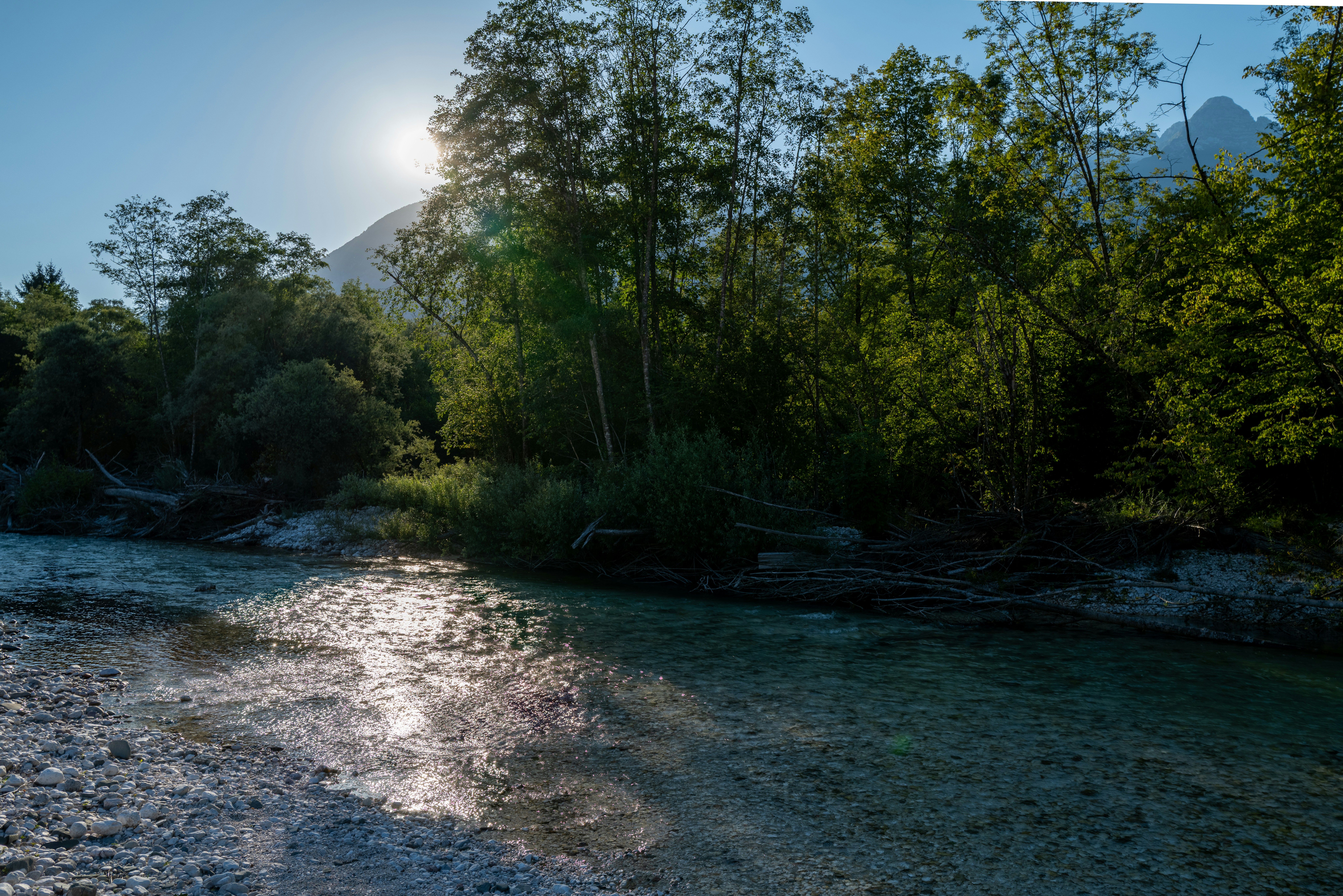 Sunlit riverbank with dense forest and distant mountains