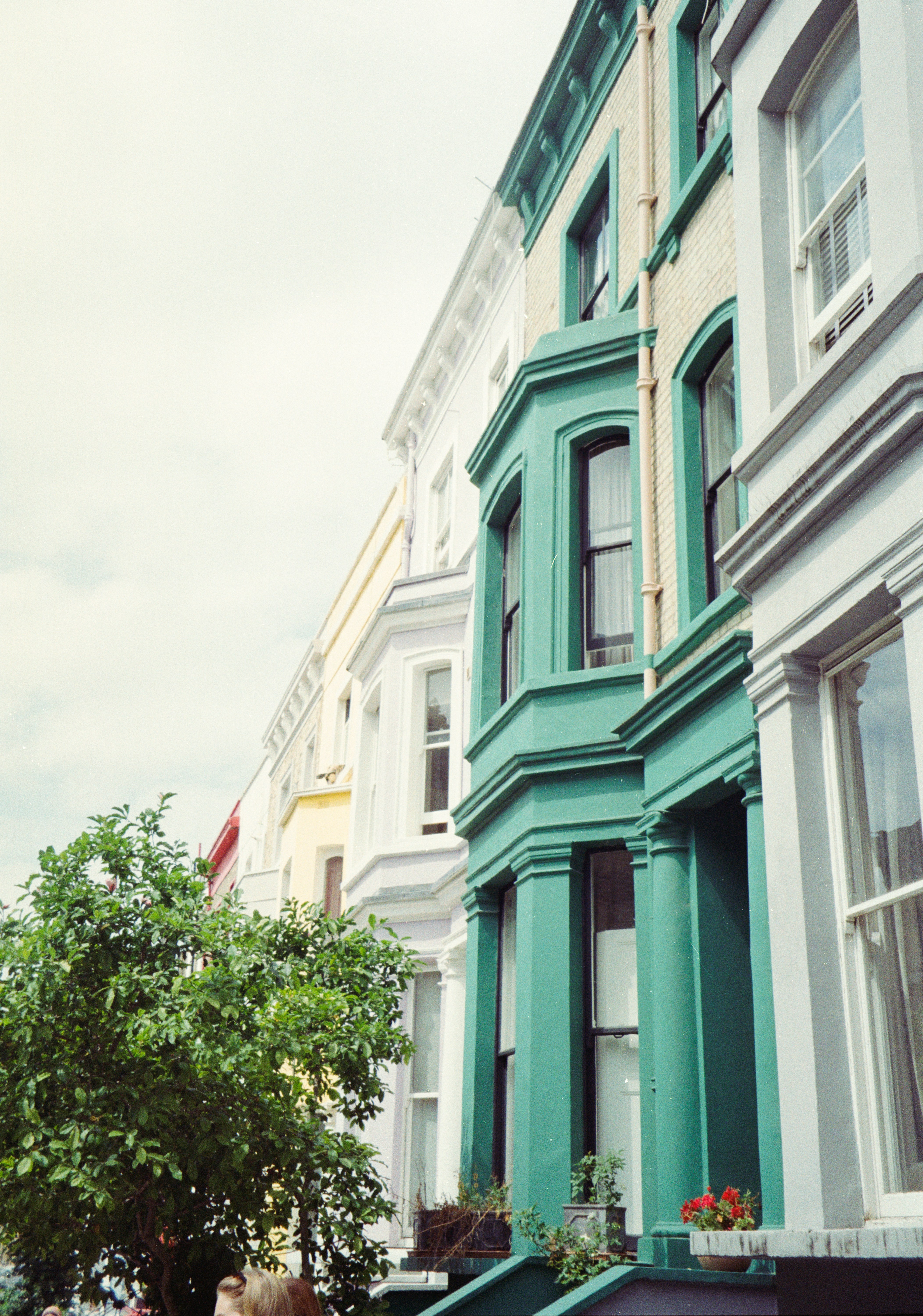 A row of colorful Victorian townhouses with bay windows and a green tree