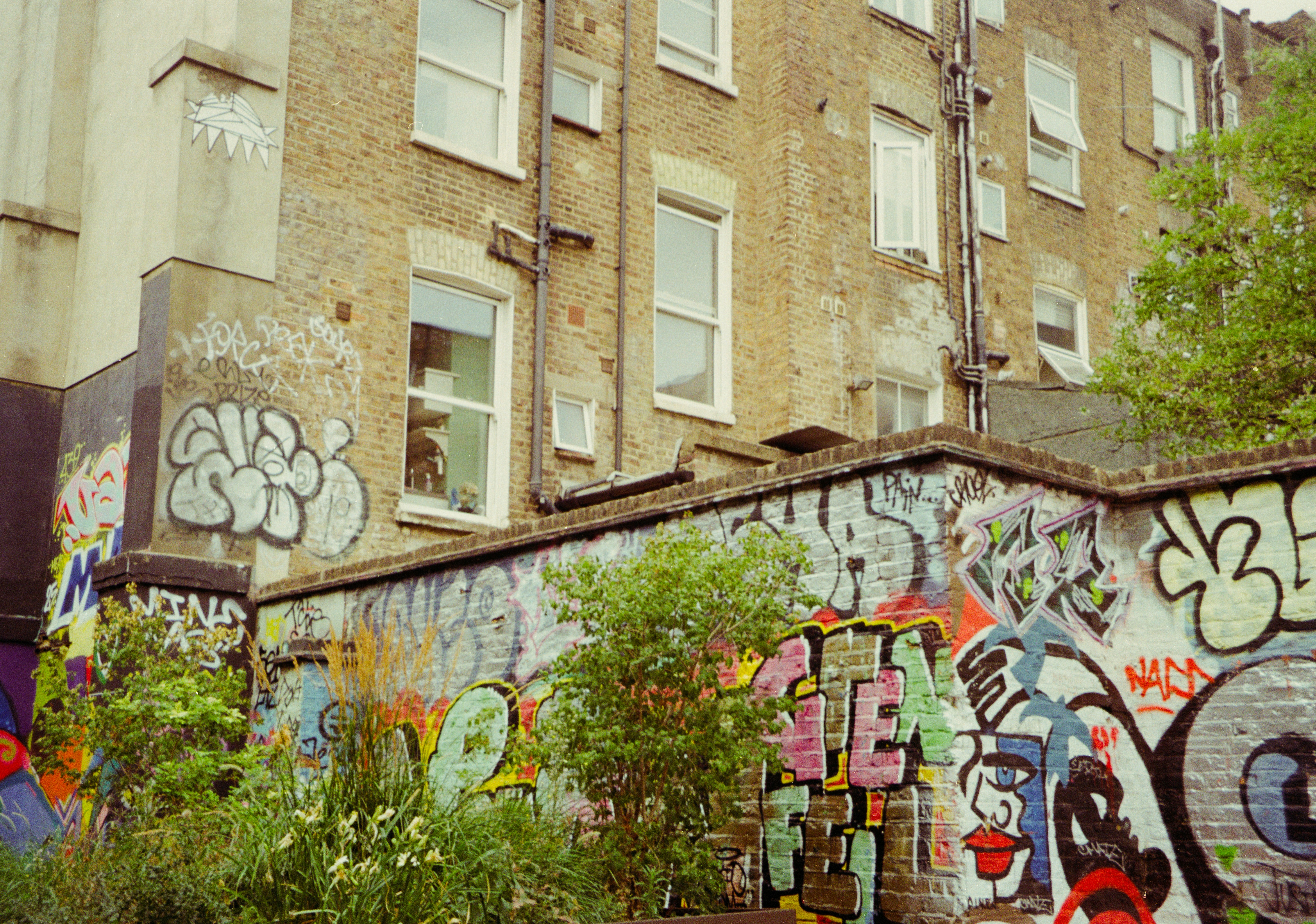 Urban Graffiti Alley: Cracked Brick, Graze of Green