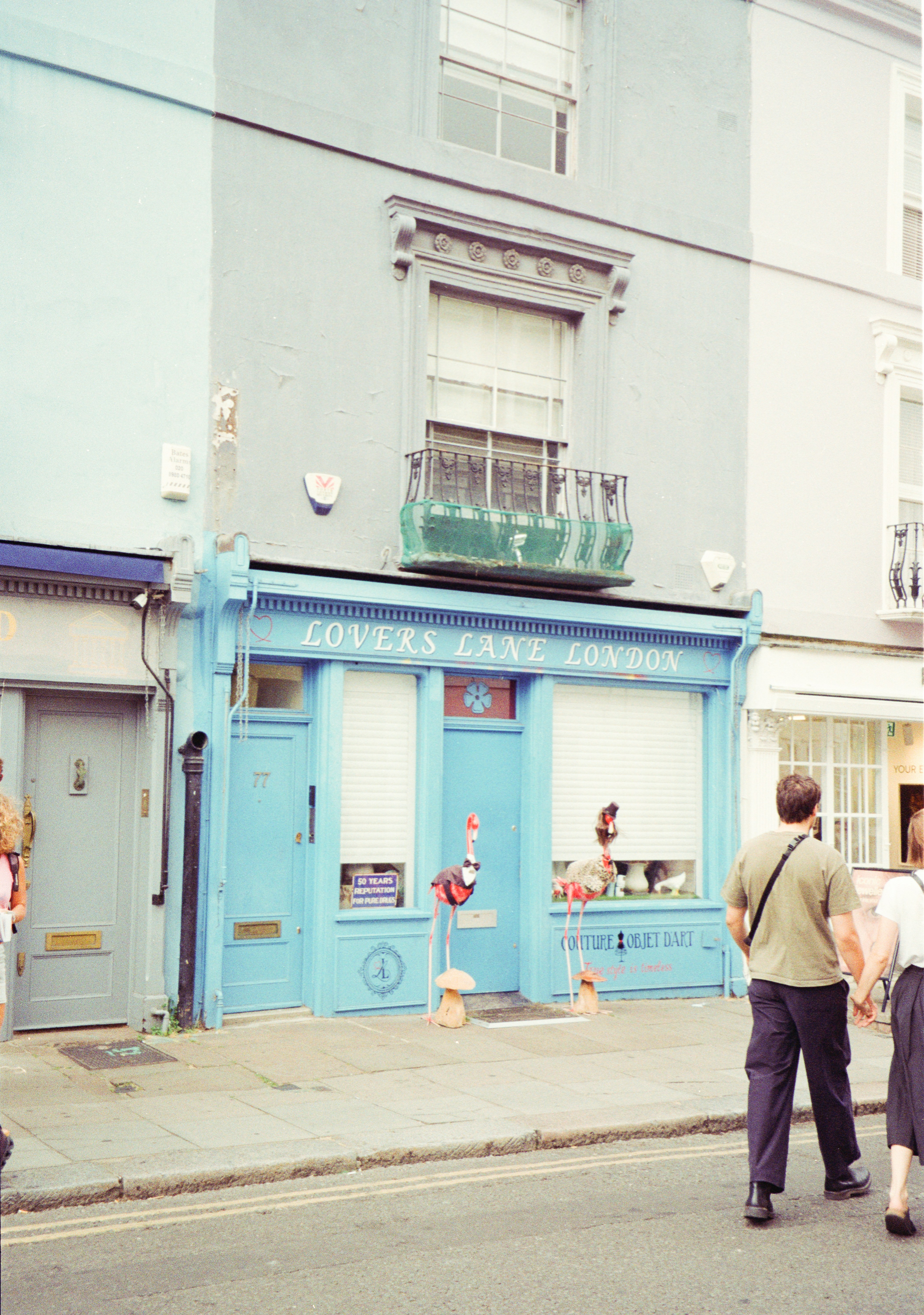 Blue Shopfront on Lovers Lane: Flamingos by the Window