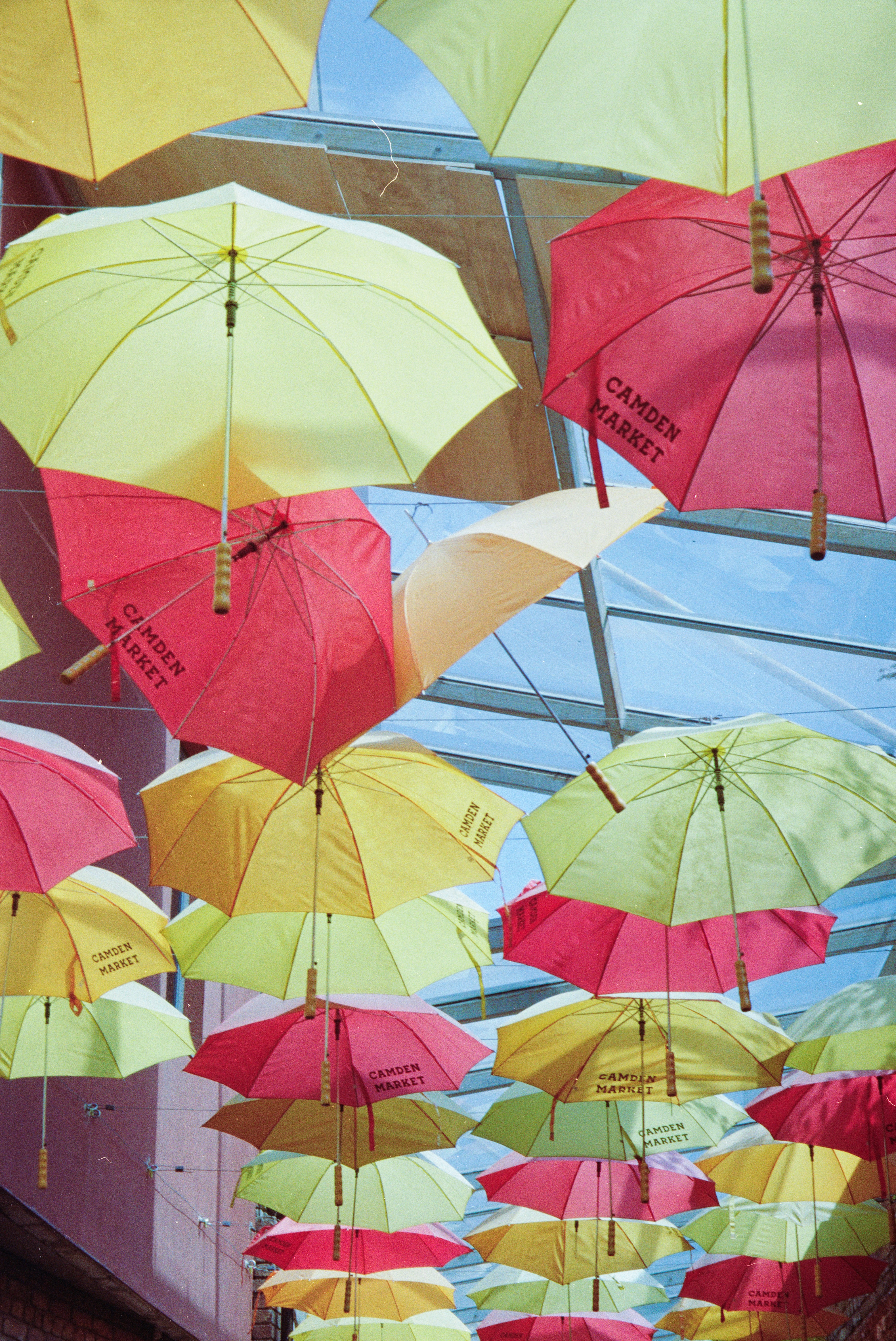 Chromatic Canopy: A Skyward Field of Umbrellas