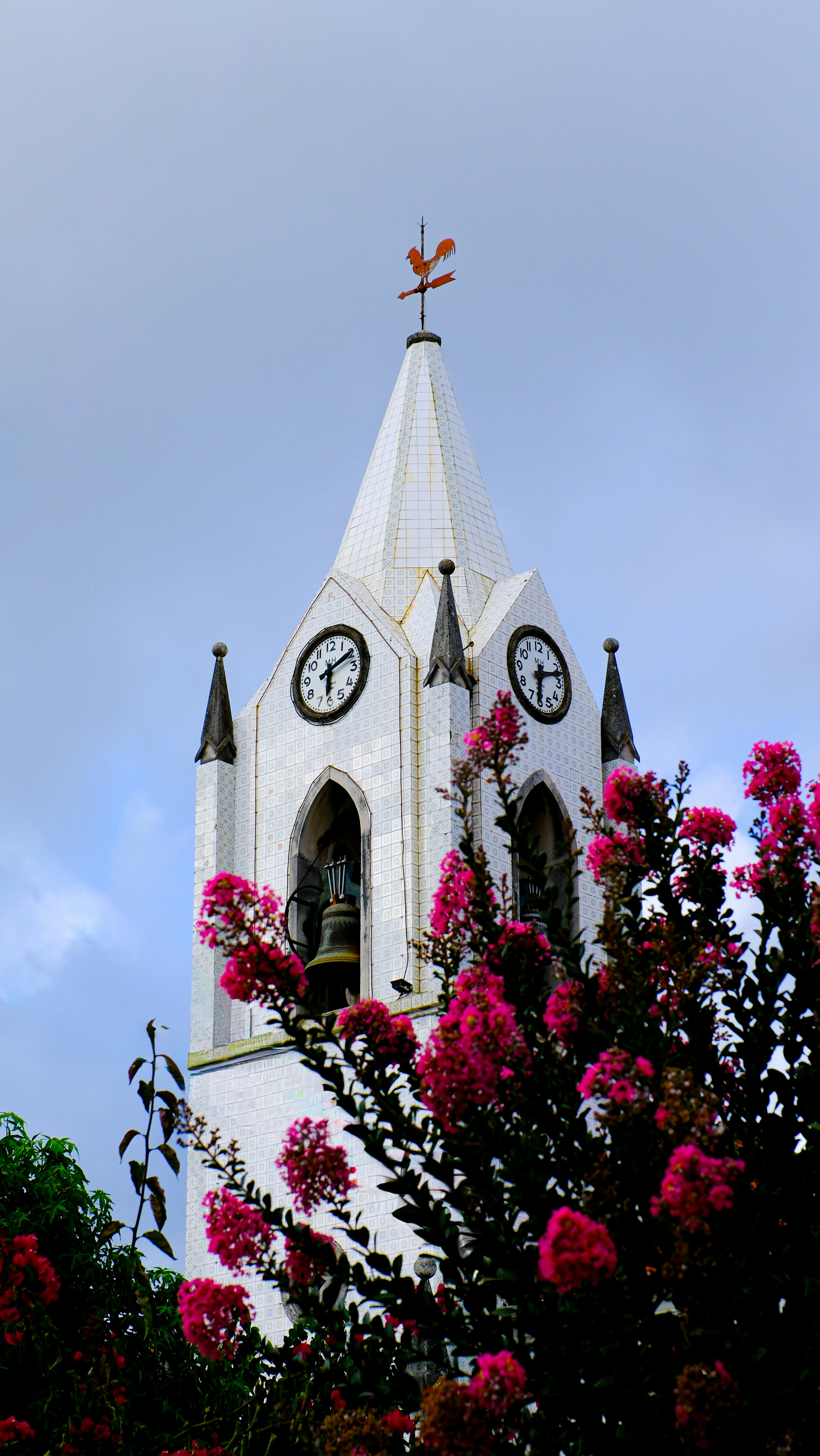 Clocktower Dawn: A Blooming Foreground Framing the Spire