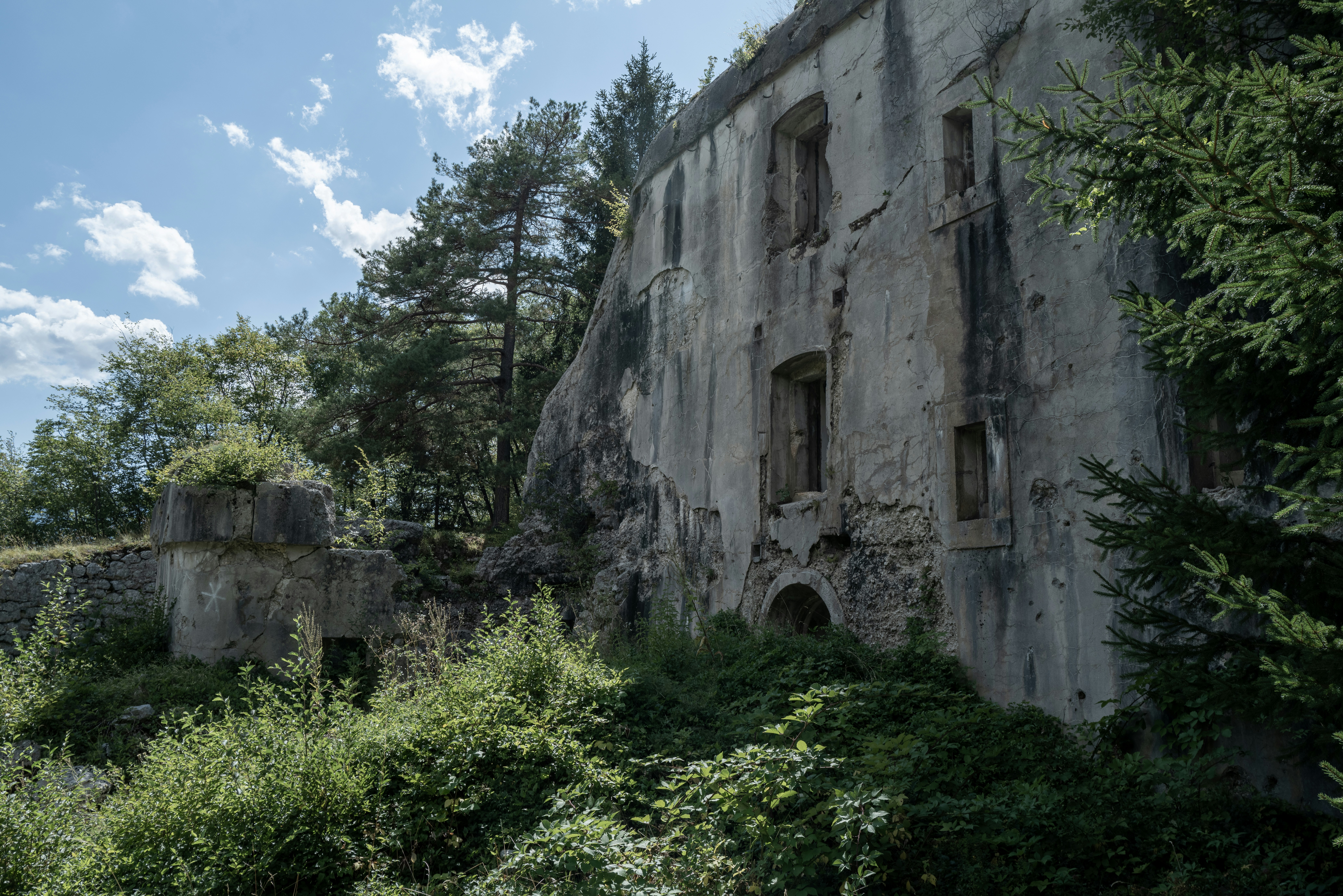 Overgrown Relic: Light on the Ruined Facade