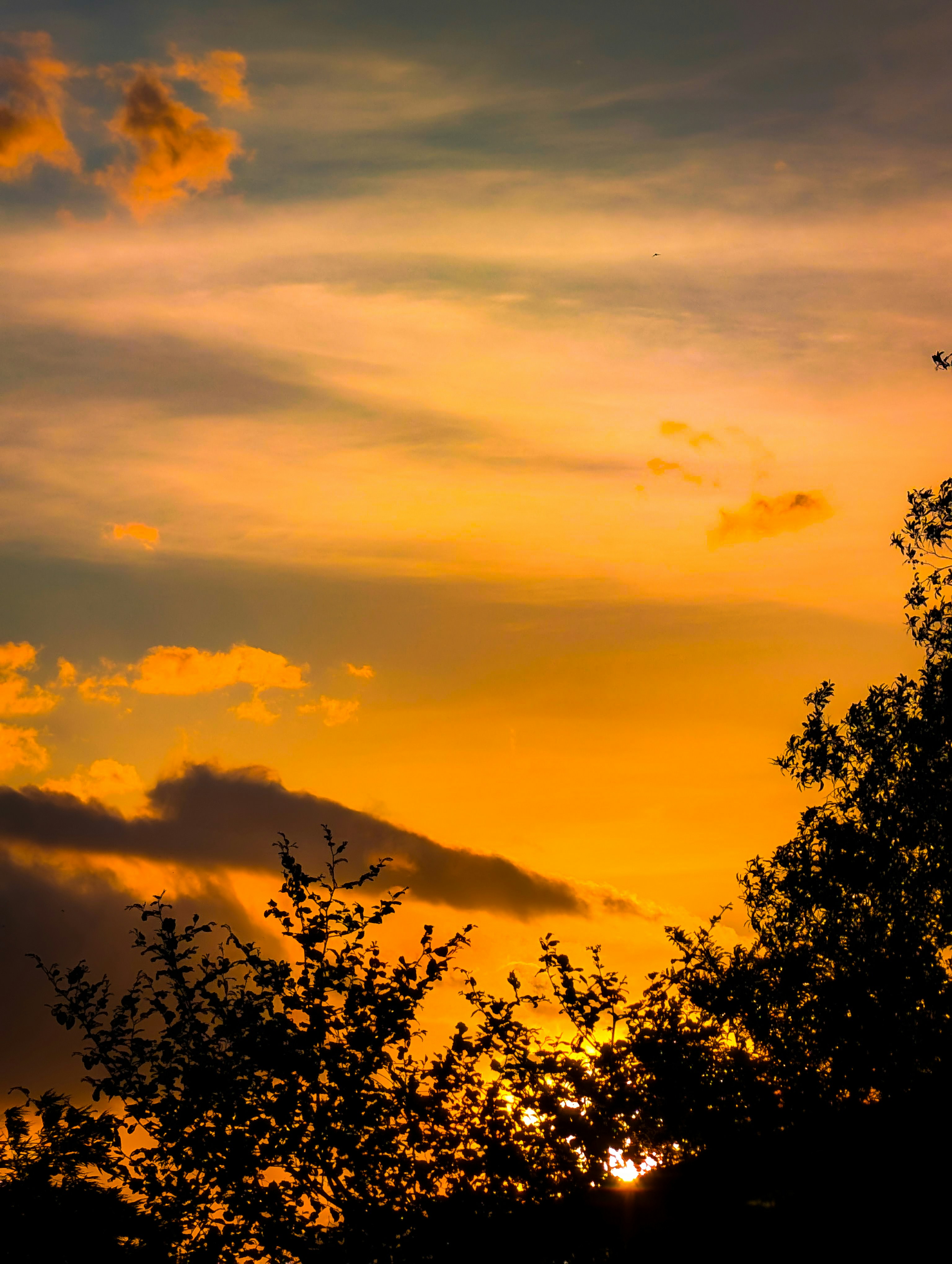 Sunset Silhouette: Guardians of the Horizon