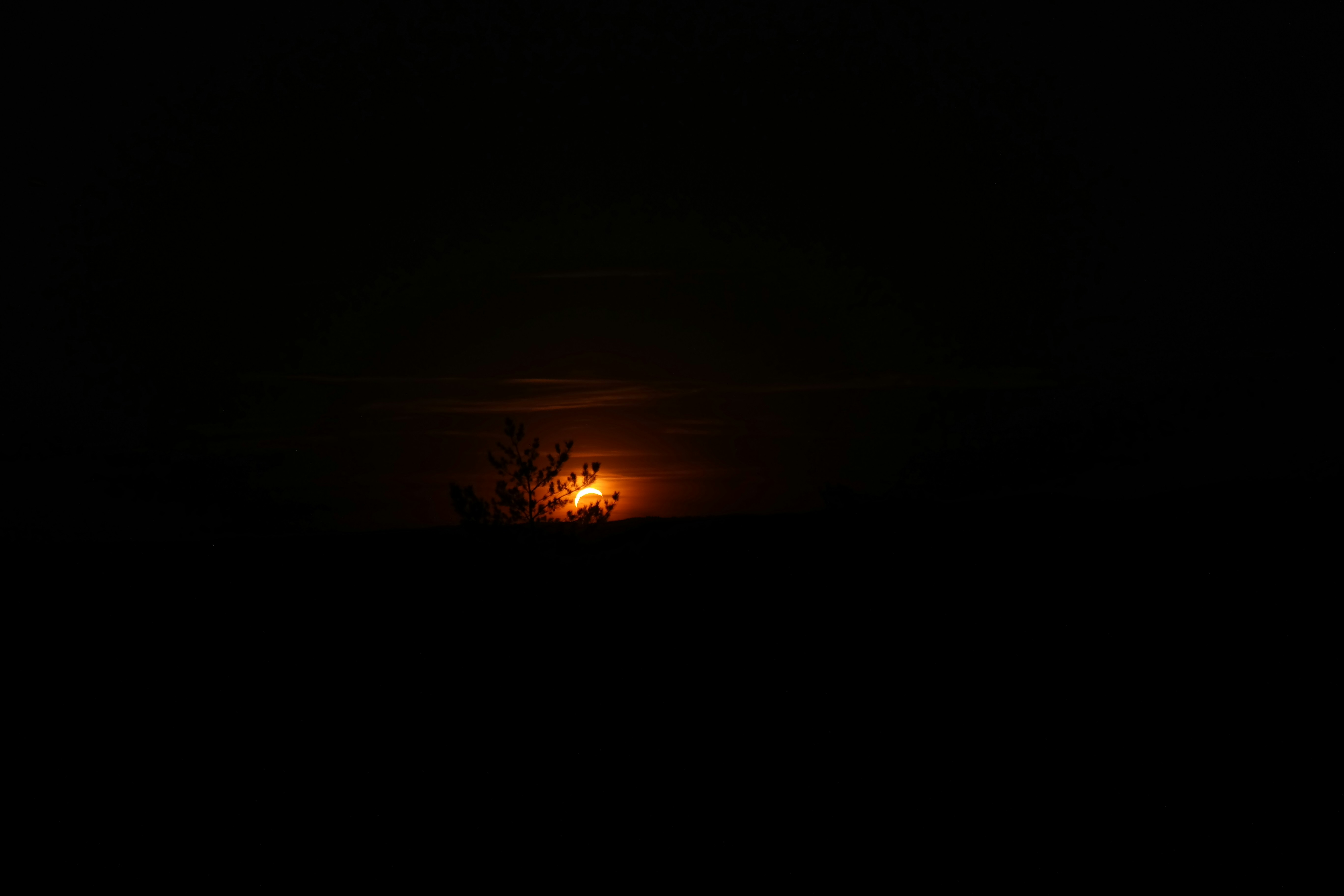 Distant Horizon: Sunset Silhouettes on a Silent Plain