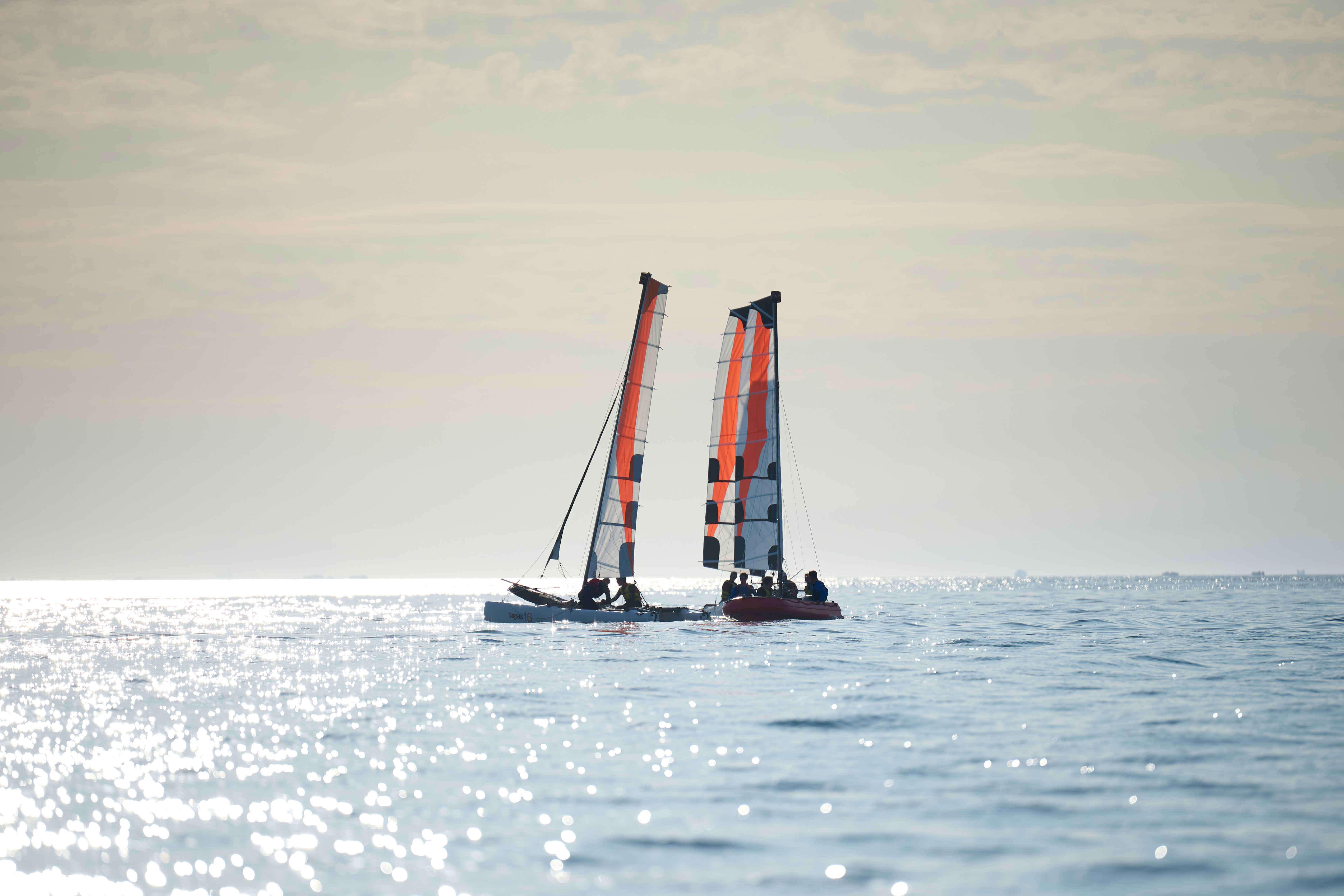 Sailboats on a Glimmering Sea: Quiet Morning Voyage