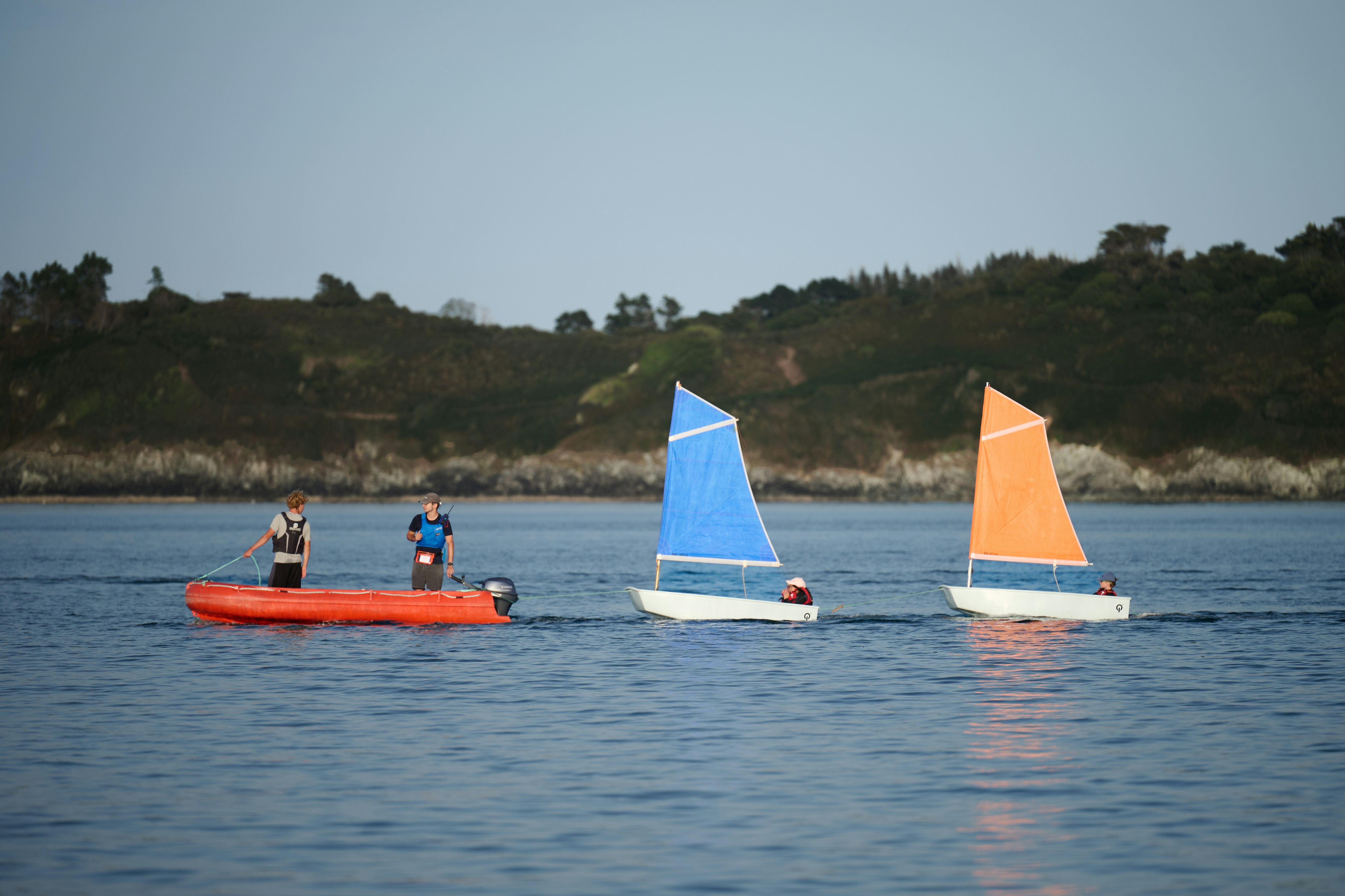Three sailboats gliding across calm coastal water under a distant tree-lined shore