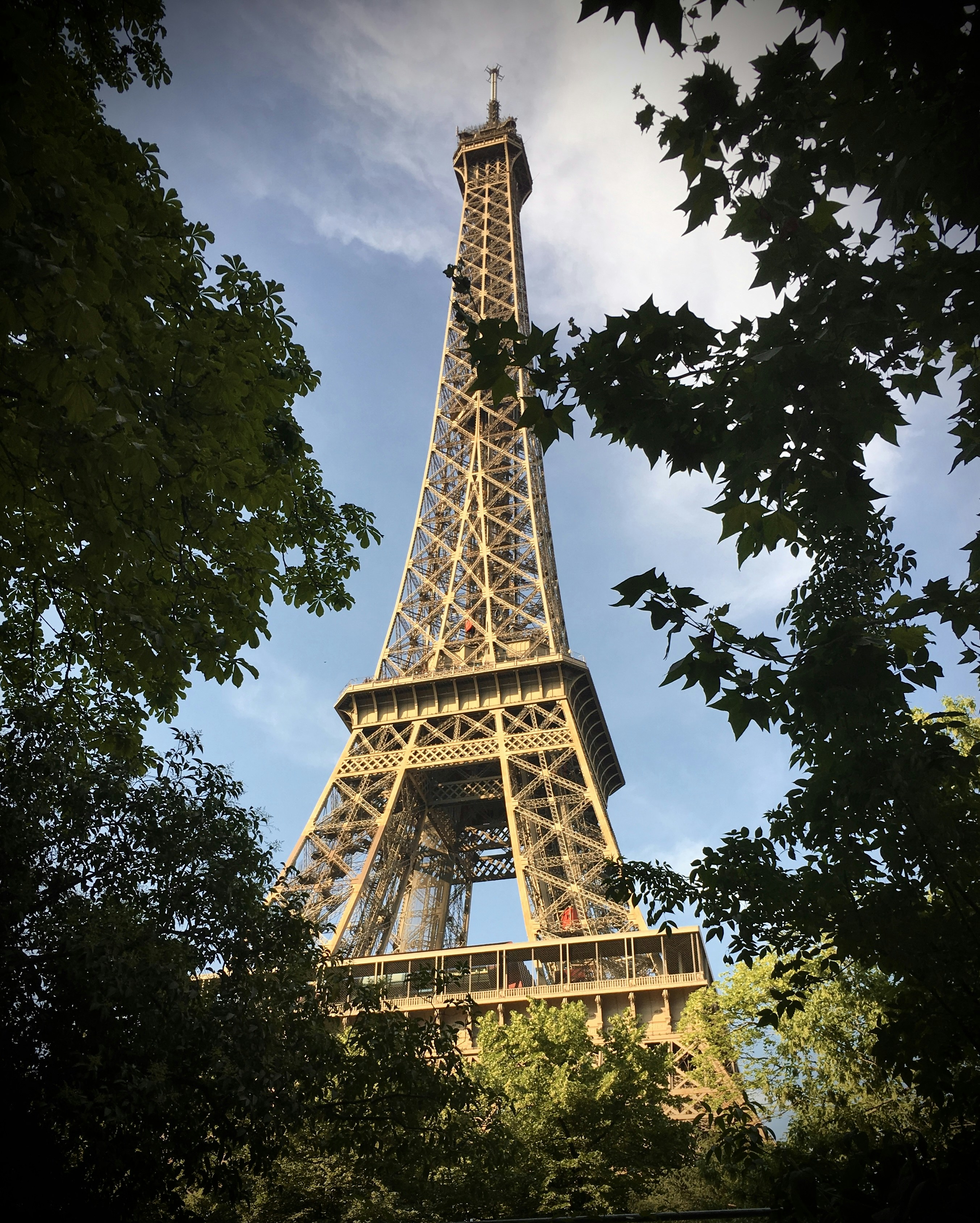 Slim lattice tower rises above leafy framing against a clear blue sky, capturing the Eiffel Tower from a low, tree-lined perspective.