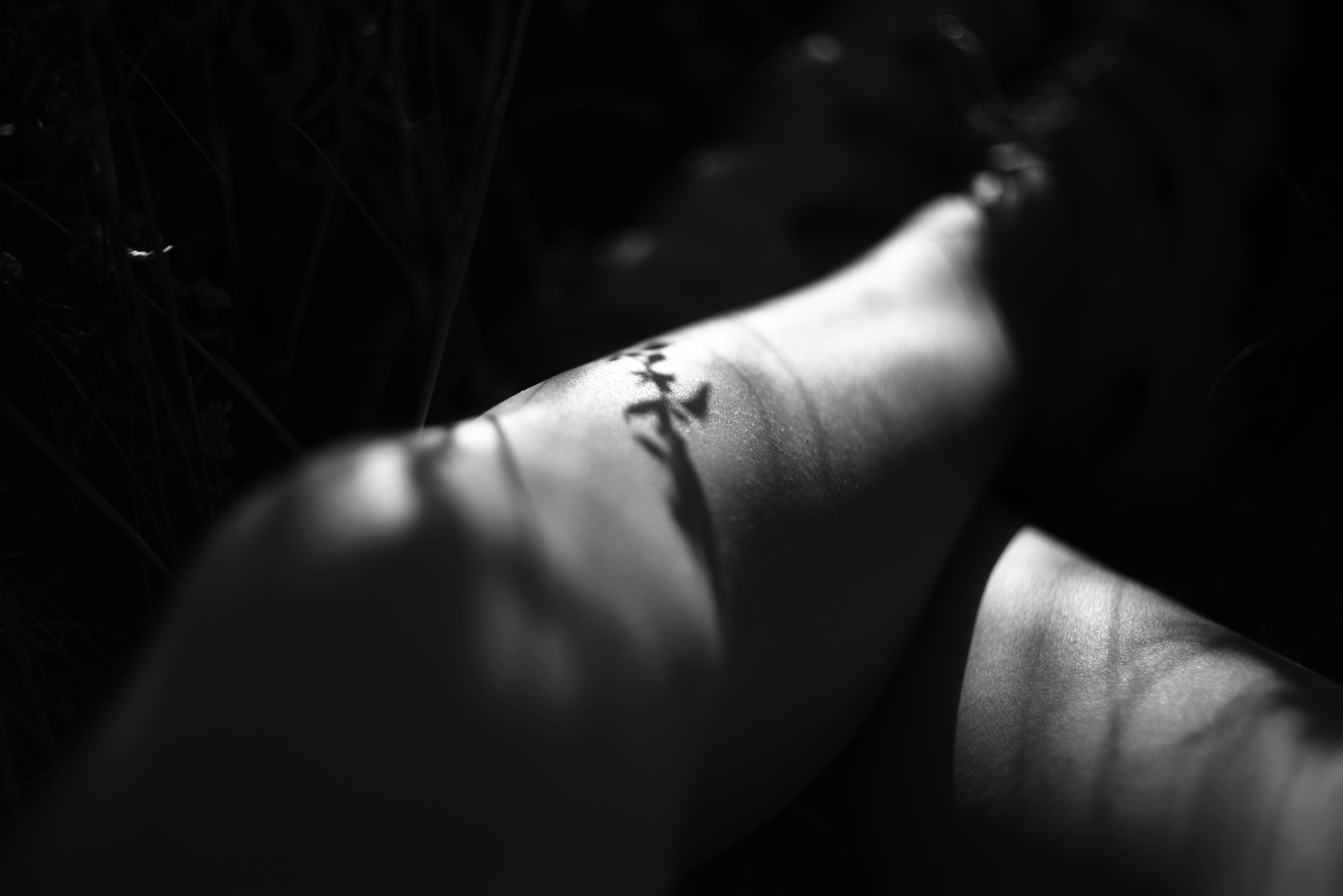 Whispers of Shadow: A Moonlit Twig Tracing Light