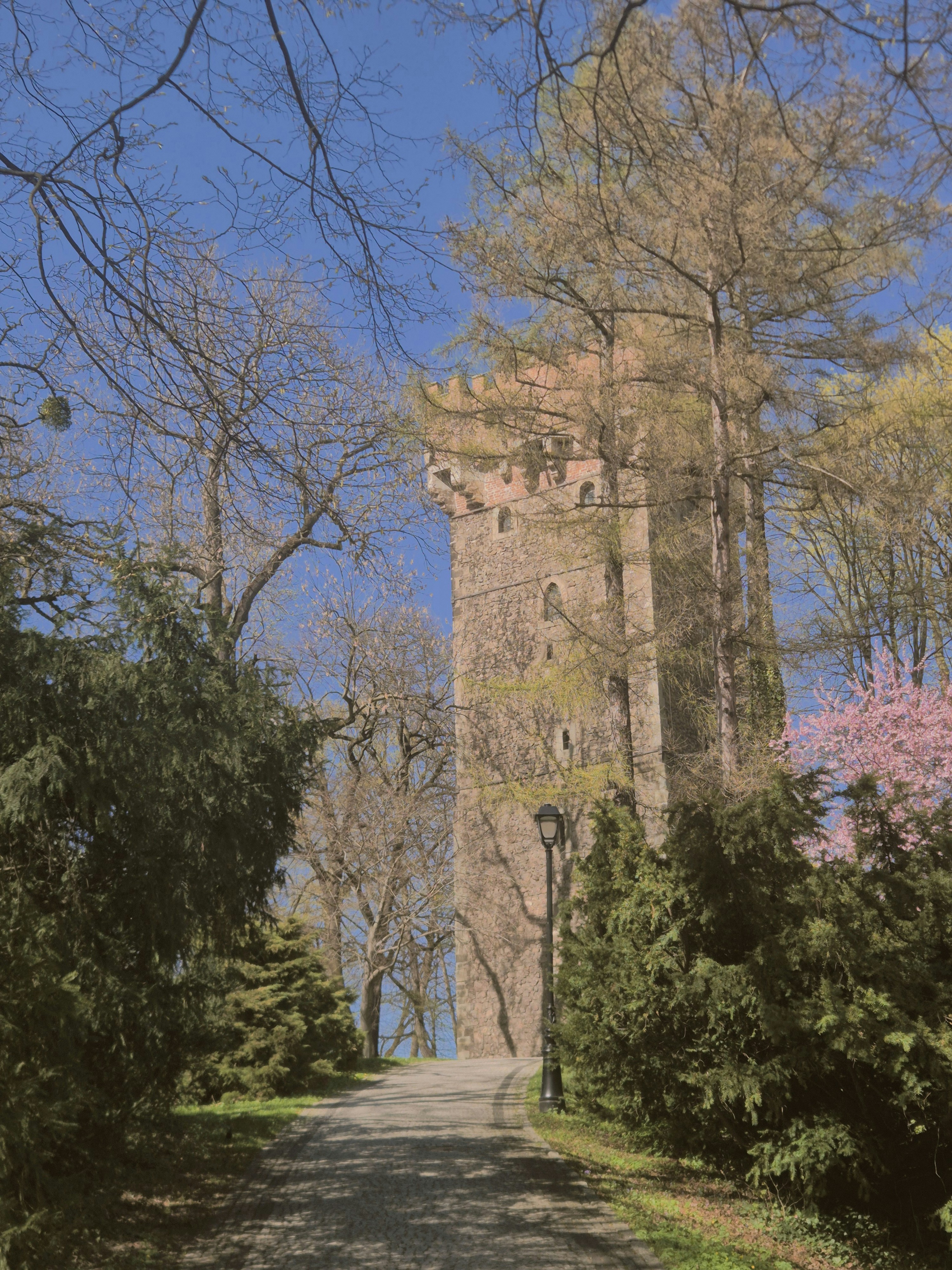 Pathway leads the eye to a stone tower framed by spring trees and a clear blue sky.