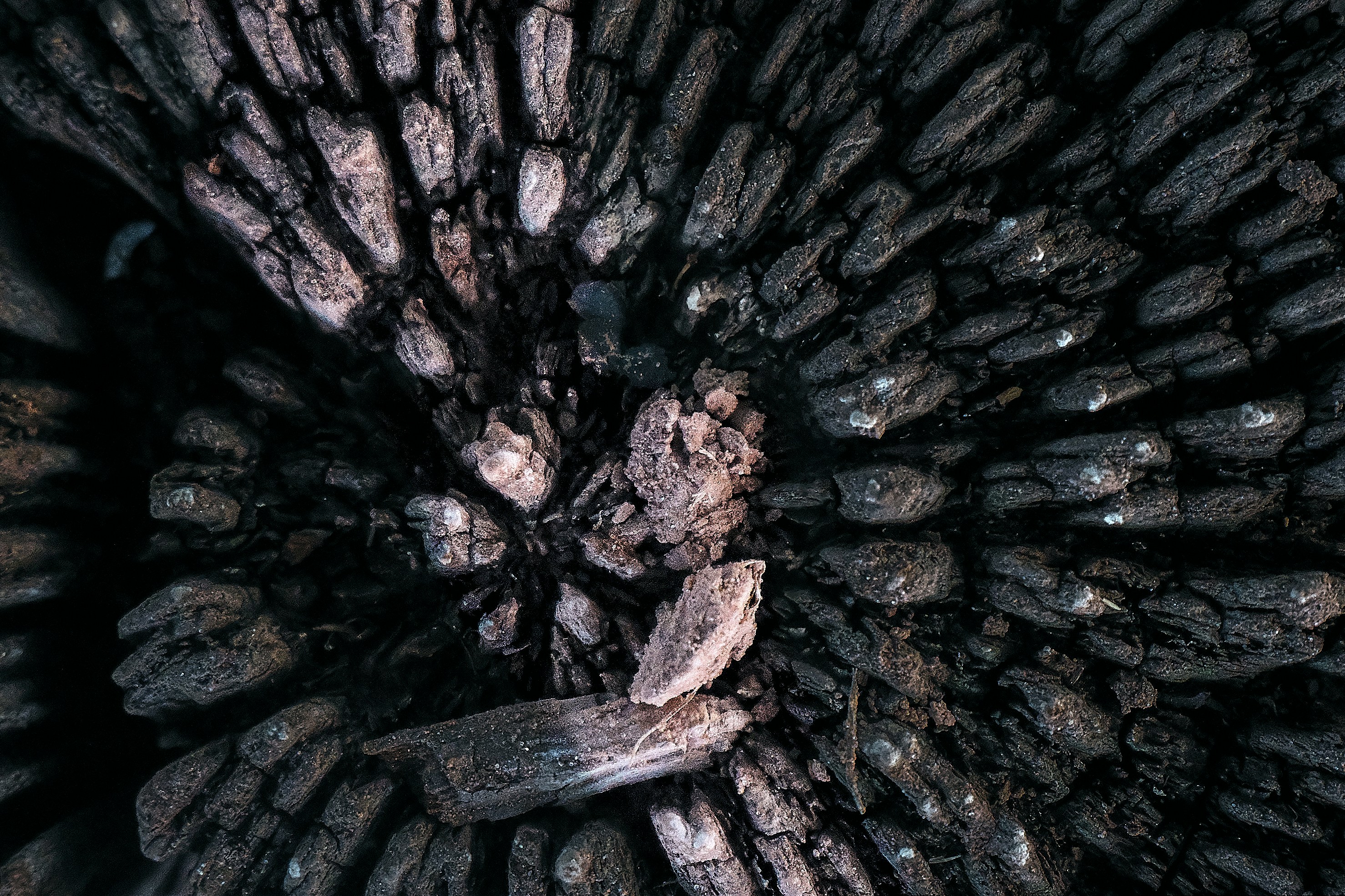 Charred Center: A Macro Dive into Coal Fragments and Ash Fringes