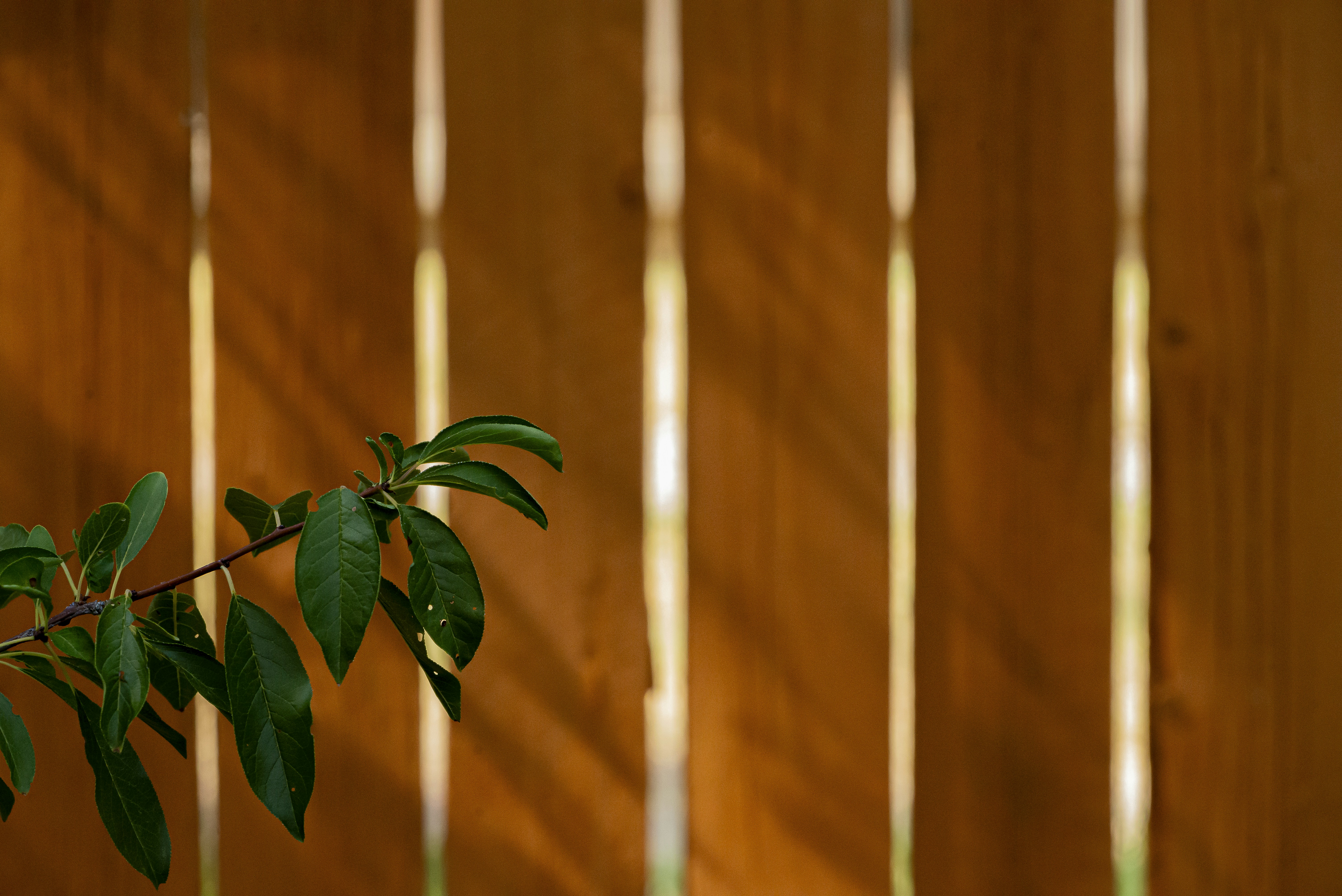 Greens against a Rust-Brown Lattice
