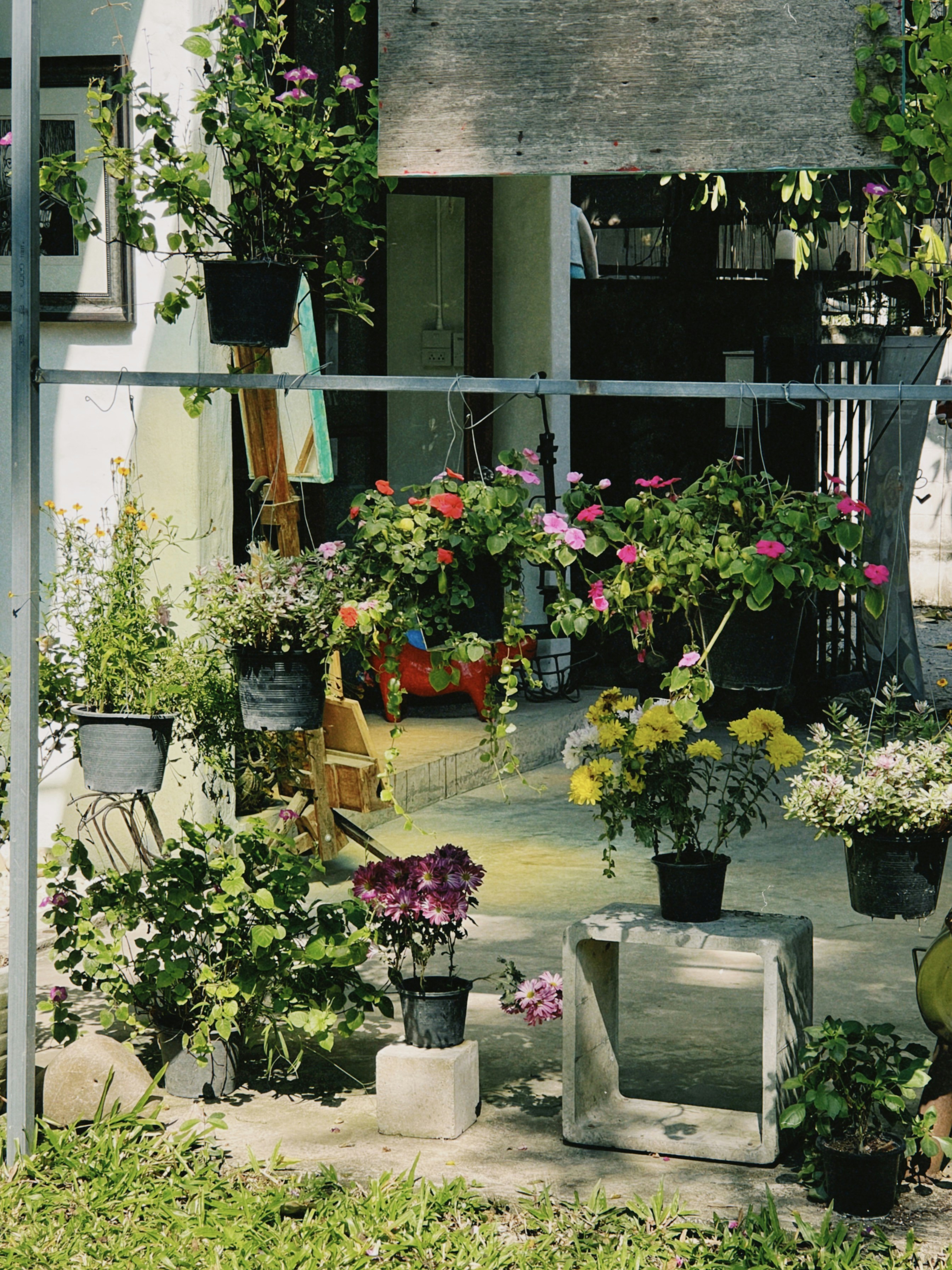 A Colorful Garden Corridor: Pots and Blooms Along a Shaded Patio