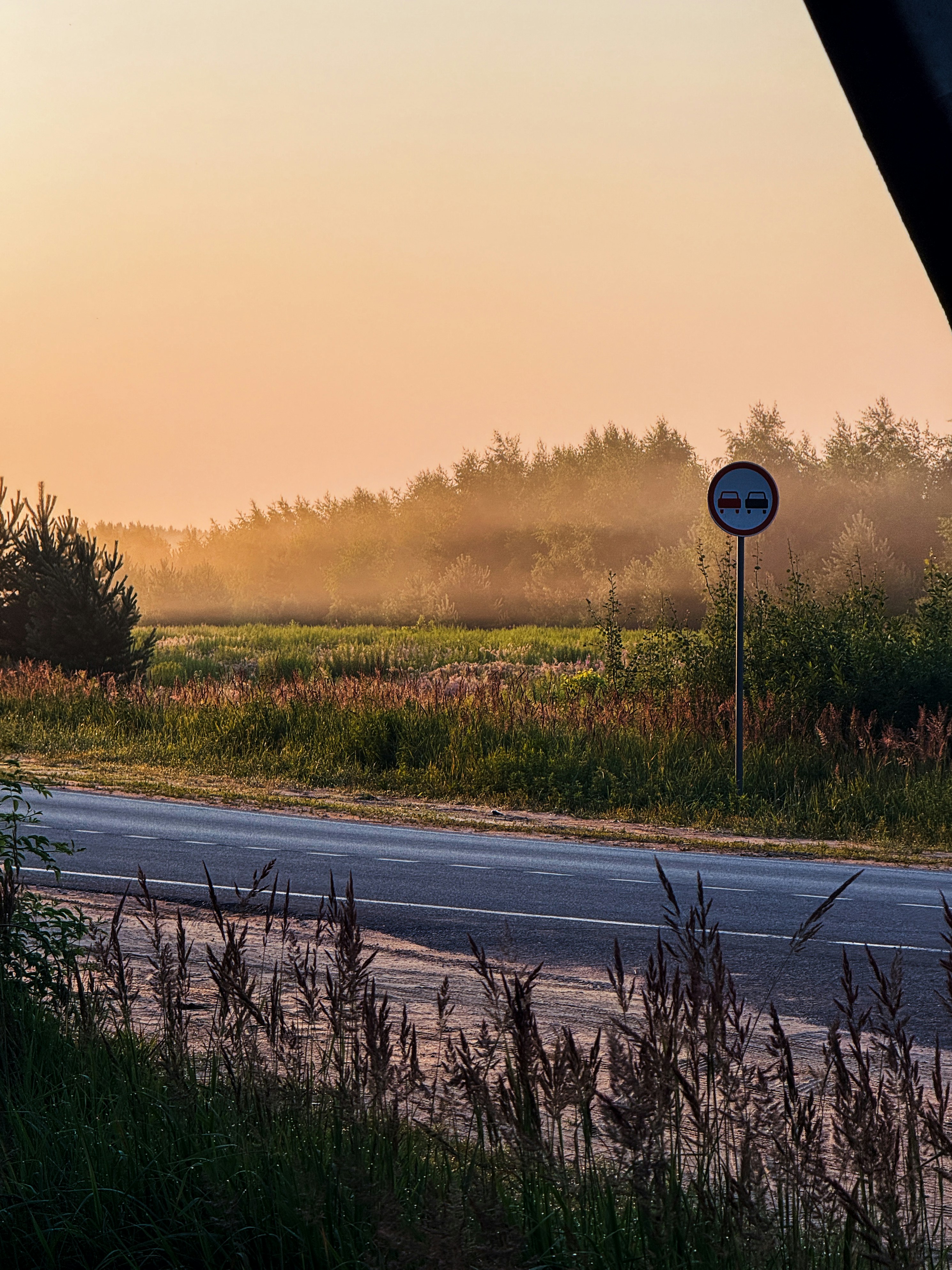 Mist over the Meadow: A Quiet Road by Dawn