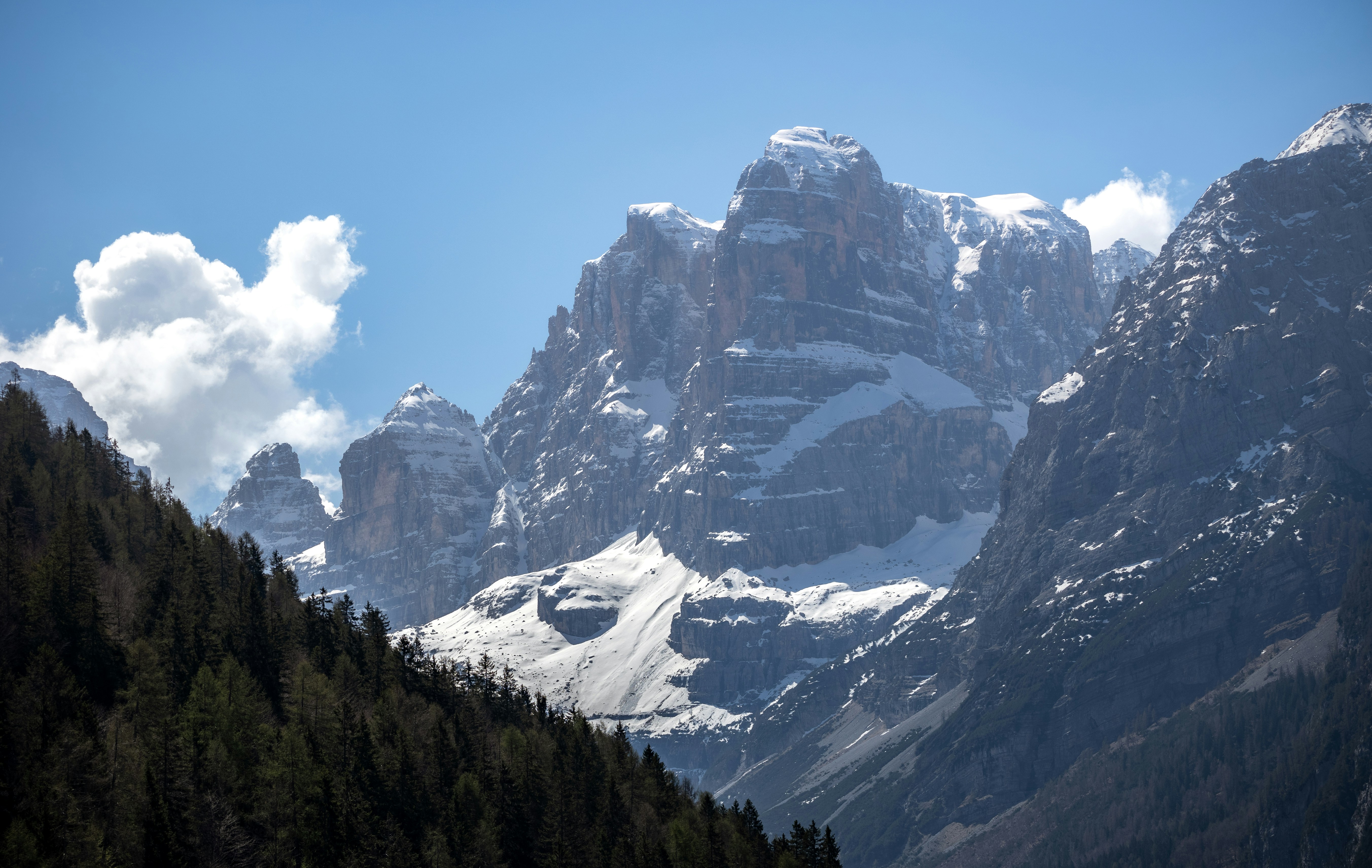 Snow-Crowned Peaks Loom Over Shaded Forest
