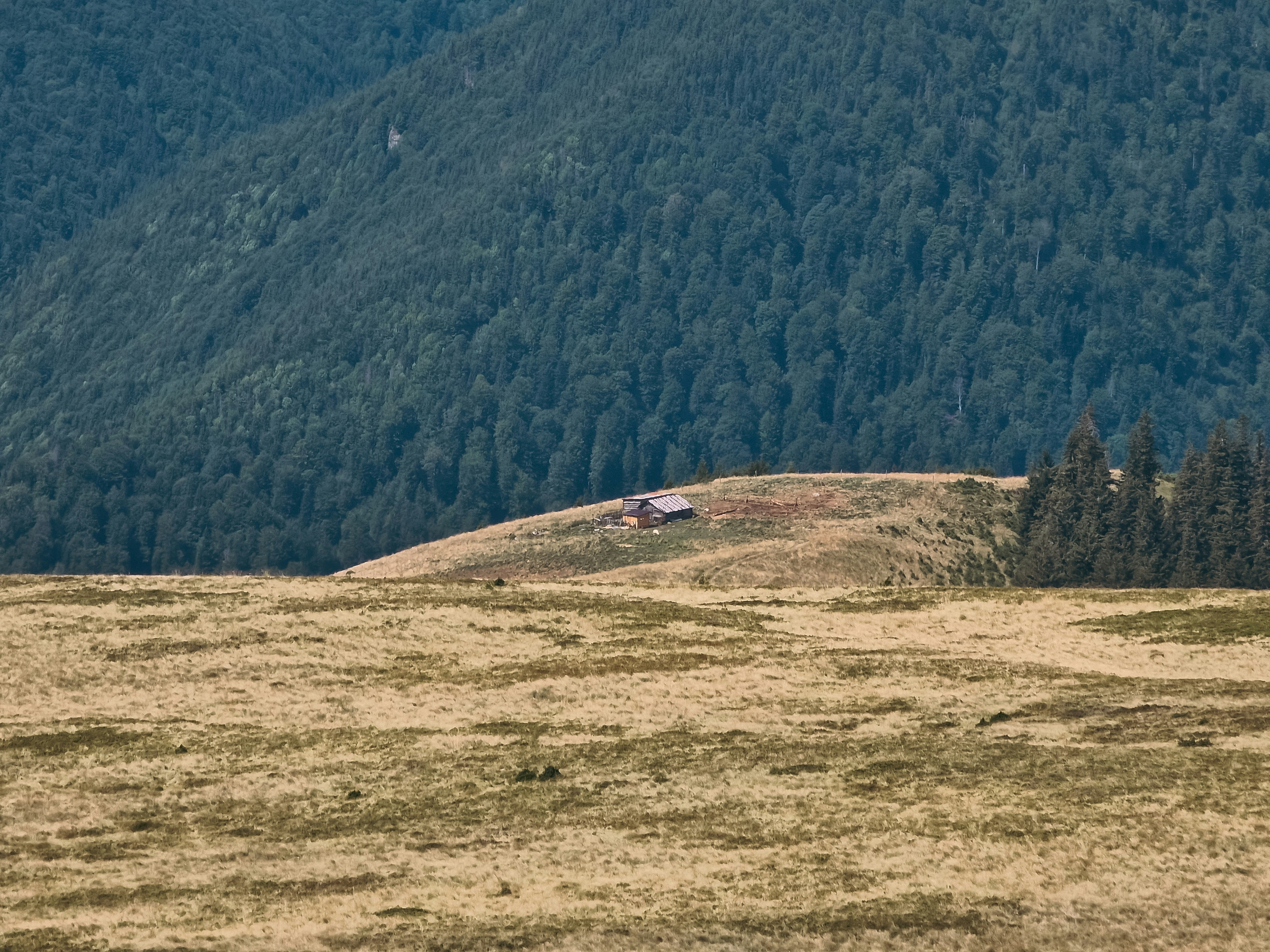 A Remote Shelter Nestled on a Gentle Slope Beneath a Forested Ridge